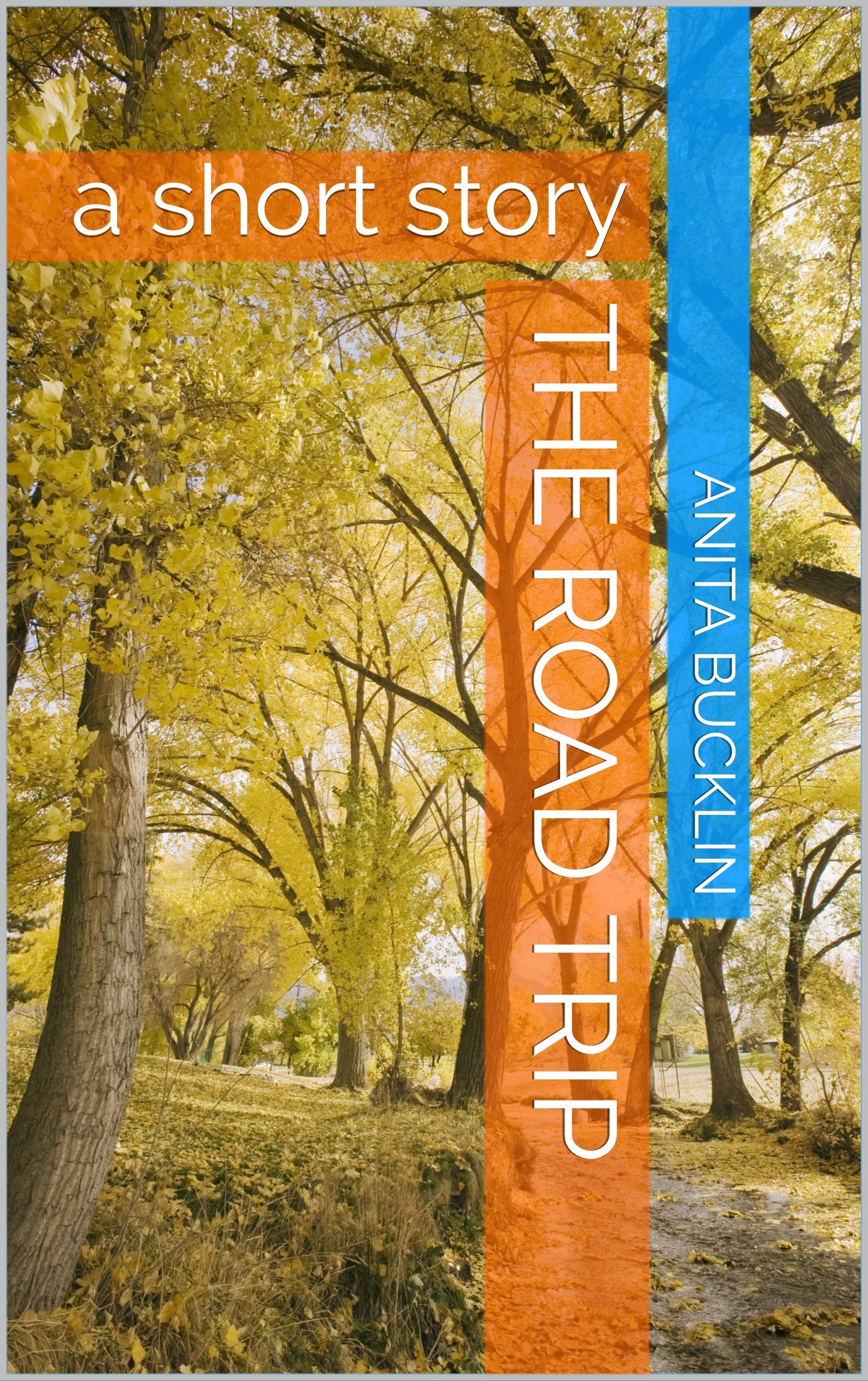 The Road Trip: a short story (Short Stories Book 6) by Anita Bucklin ...