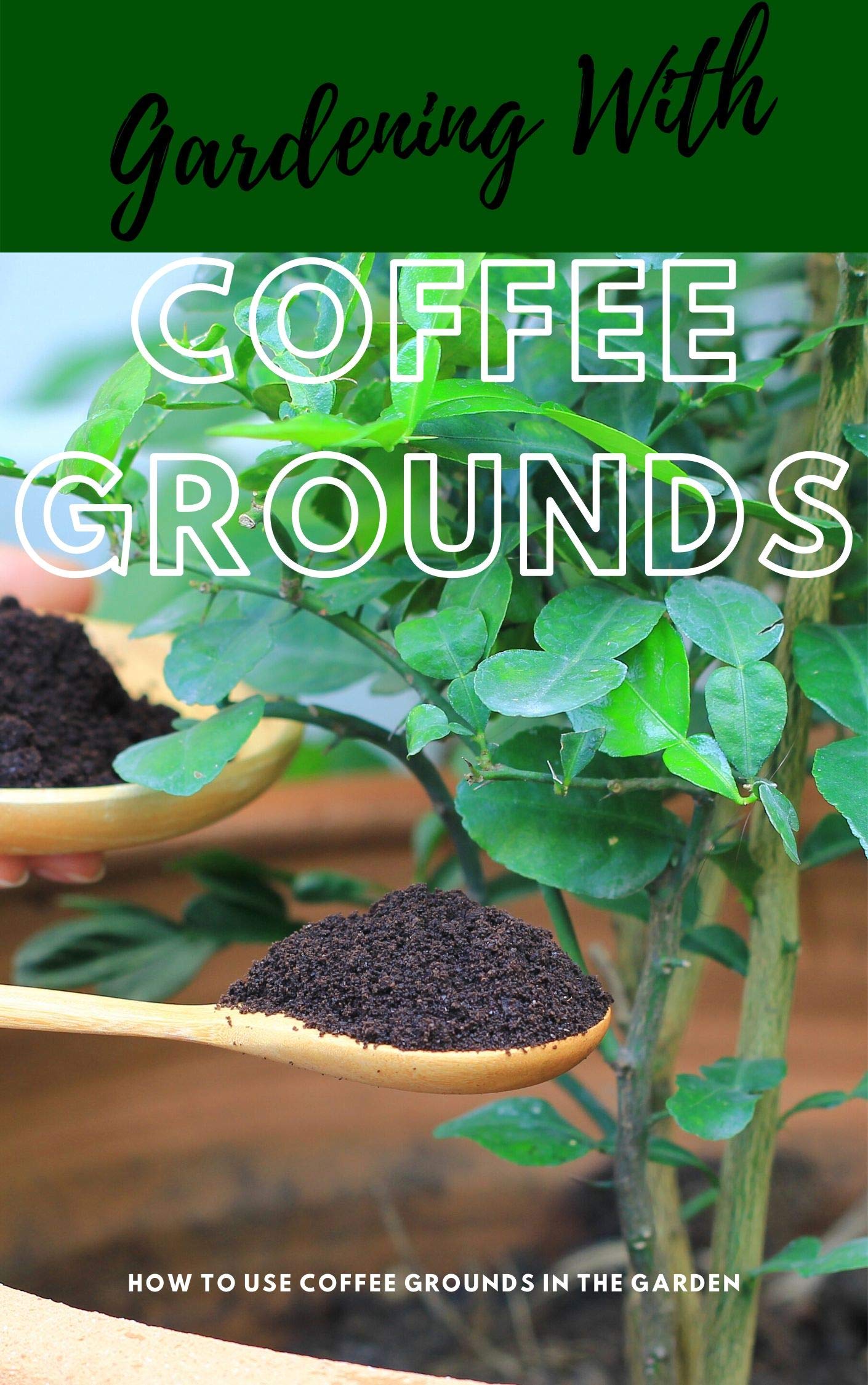 Gardening With Coffee Grounds: How to Use Coffee Grounds in Your Garden ...