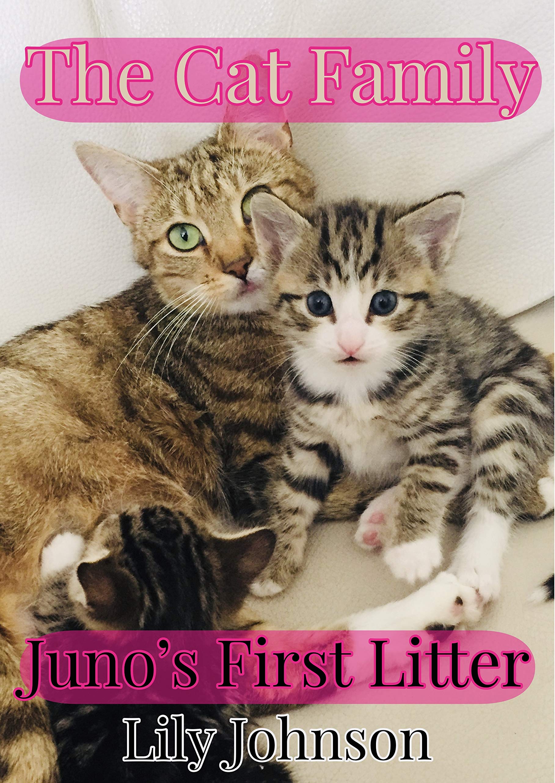 The Cat Family Picture Book: Juno’s First Litter - Super Adorable Cute ...