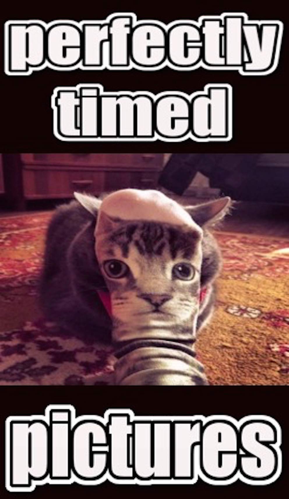 Memes: Perfectly Timed Pics & Funny Memes - Hilarious Funny Timing ...