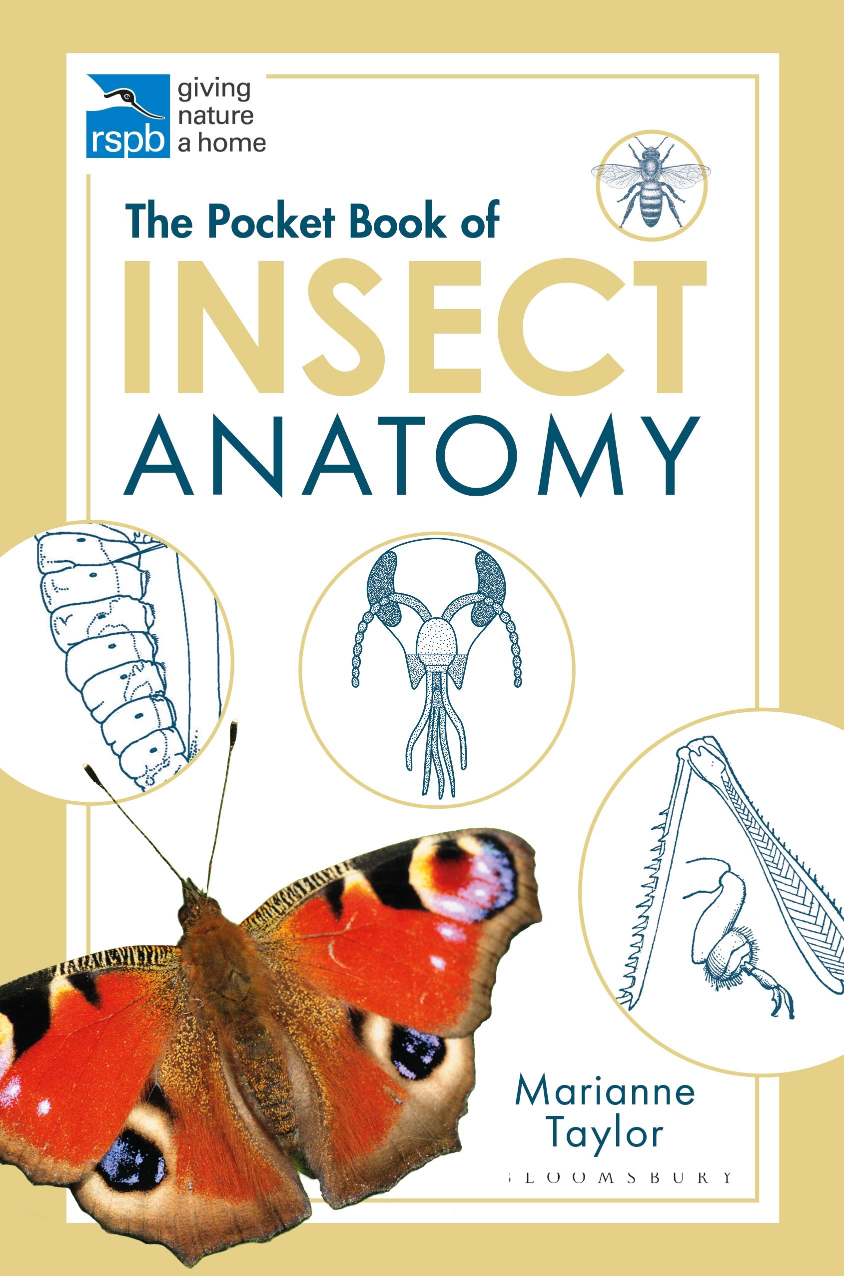 The Pocket Book of Insect Anatomy (RSPB) by Marianne Taylor | Goodreads
