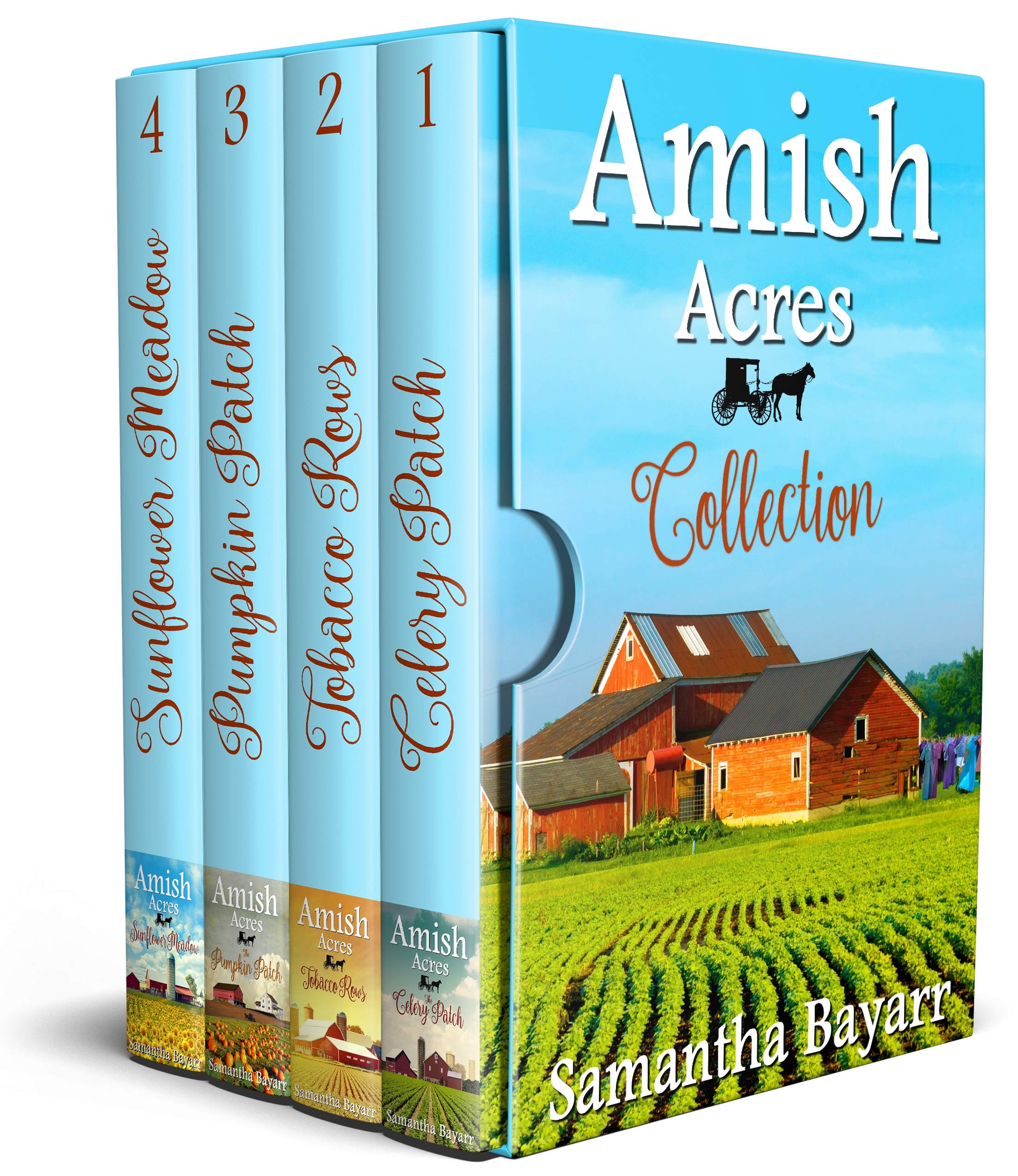 Amish Acres Boxed Set: Amish Christian Romance Book Series 1-4 by ...