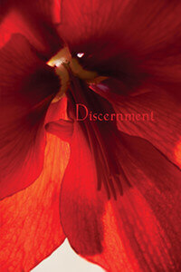 Discernment: The Buddha's Strategies for Happiness: II by Thanissaro ...