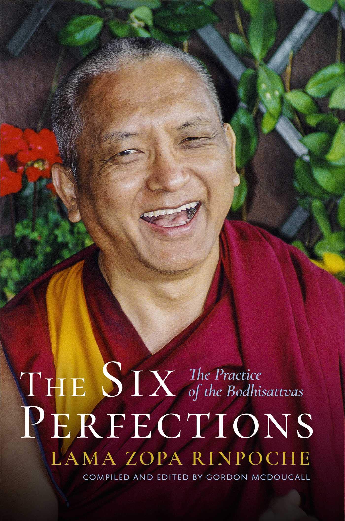 The Six Perfections: The Practice of the Bodhisattvas by Thubten Zopa ...
