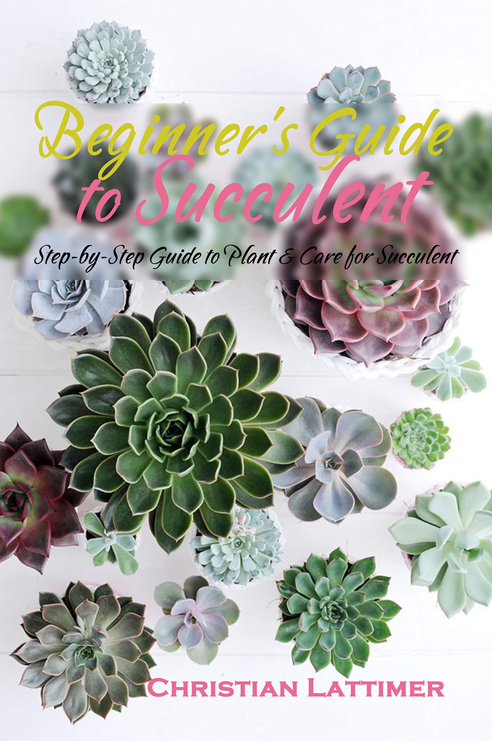 Beginner's Guide to Succulent: Step-by-Step Guide to Plant & Care for Succulent by Christian ...