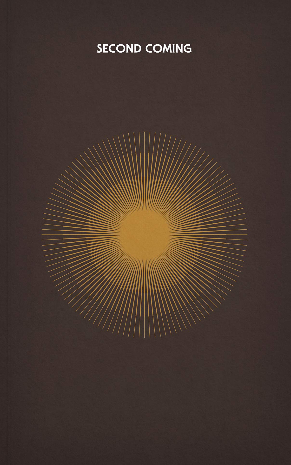 Second Coming: Awakening Your Divine Mastery Through Universal Truths ...