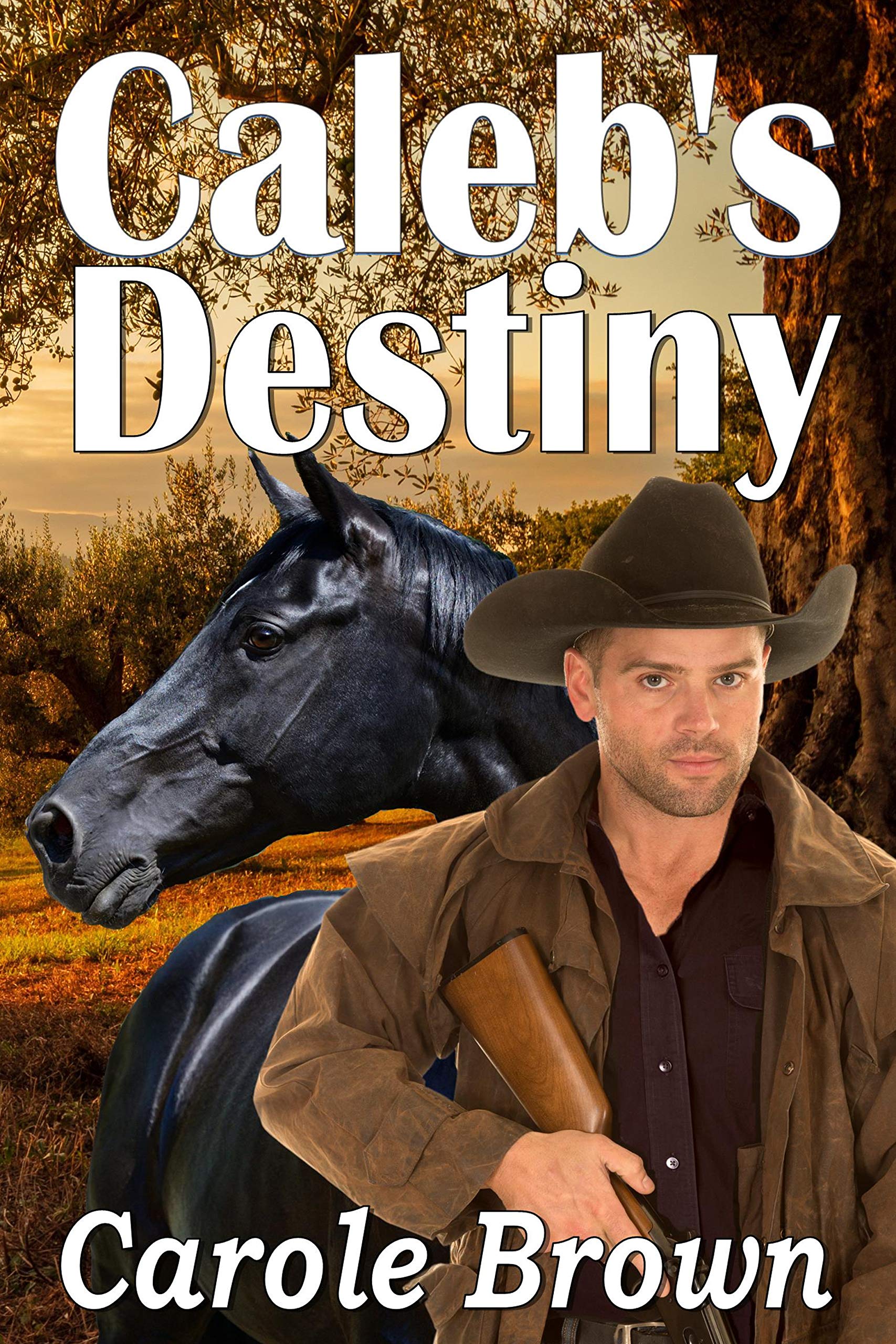 Caleb's Destiny (Troubles in the West Book 1) by Carole Brown | Goodreads