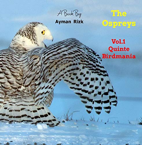 The Ospreys by Ayman Rizk | Goodreads