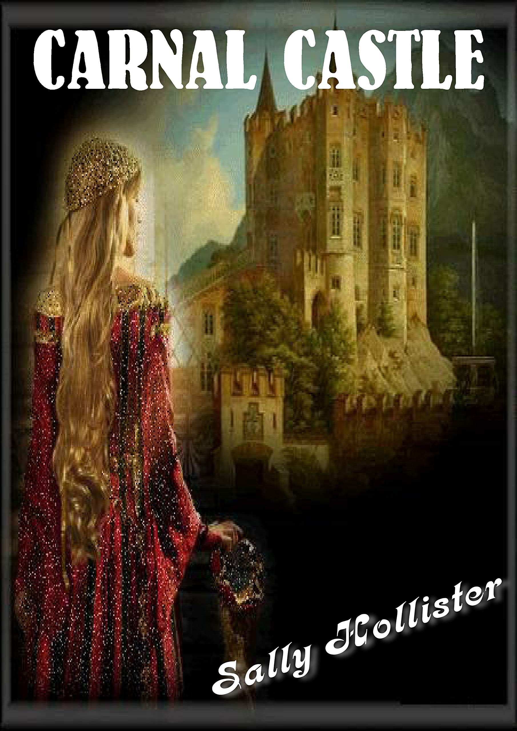 Carnal Castle by Sally Hollister | Goodreads