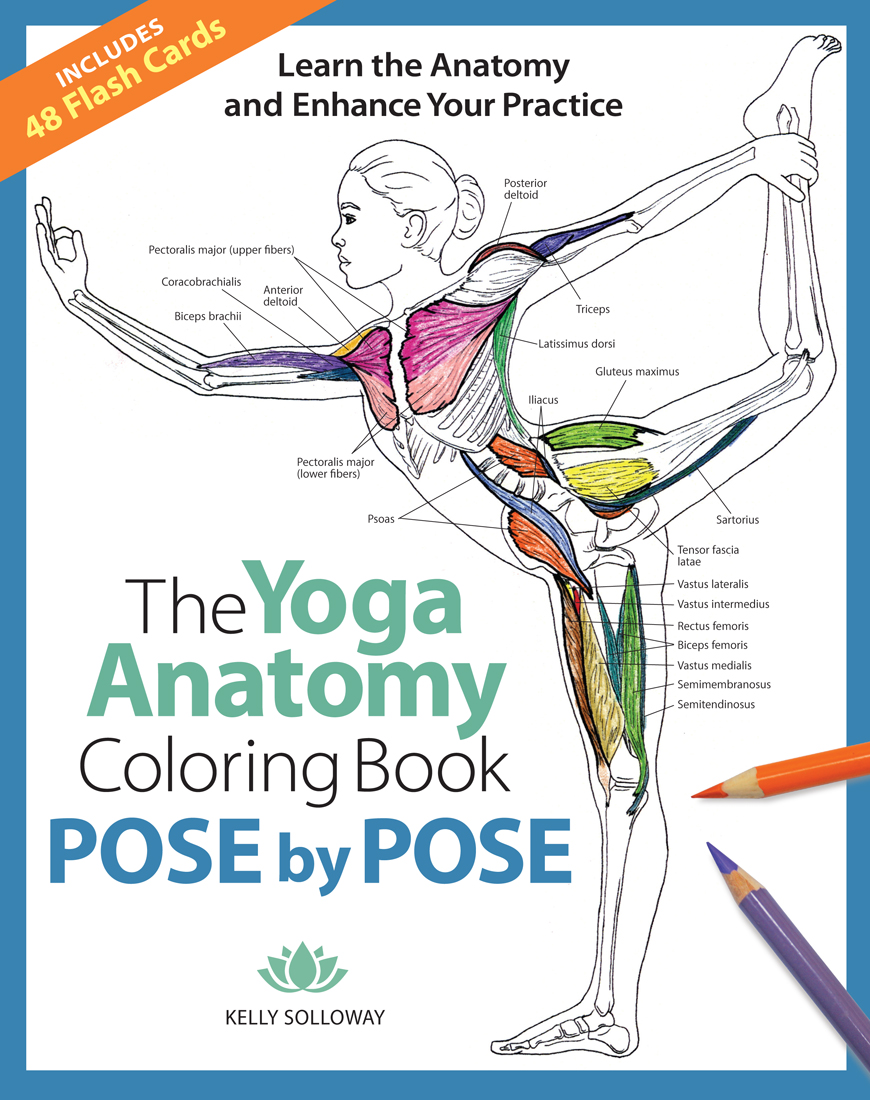 Pose by Pose: Learn the Anatomy and Enhance Your Practice (Volume 2) by ...