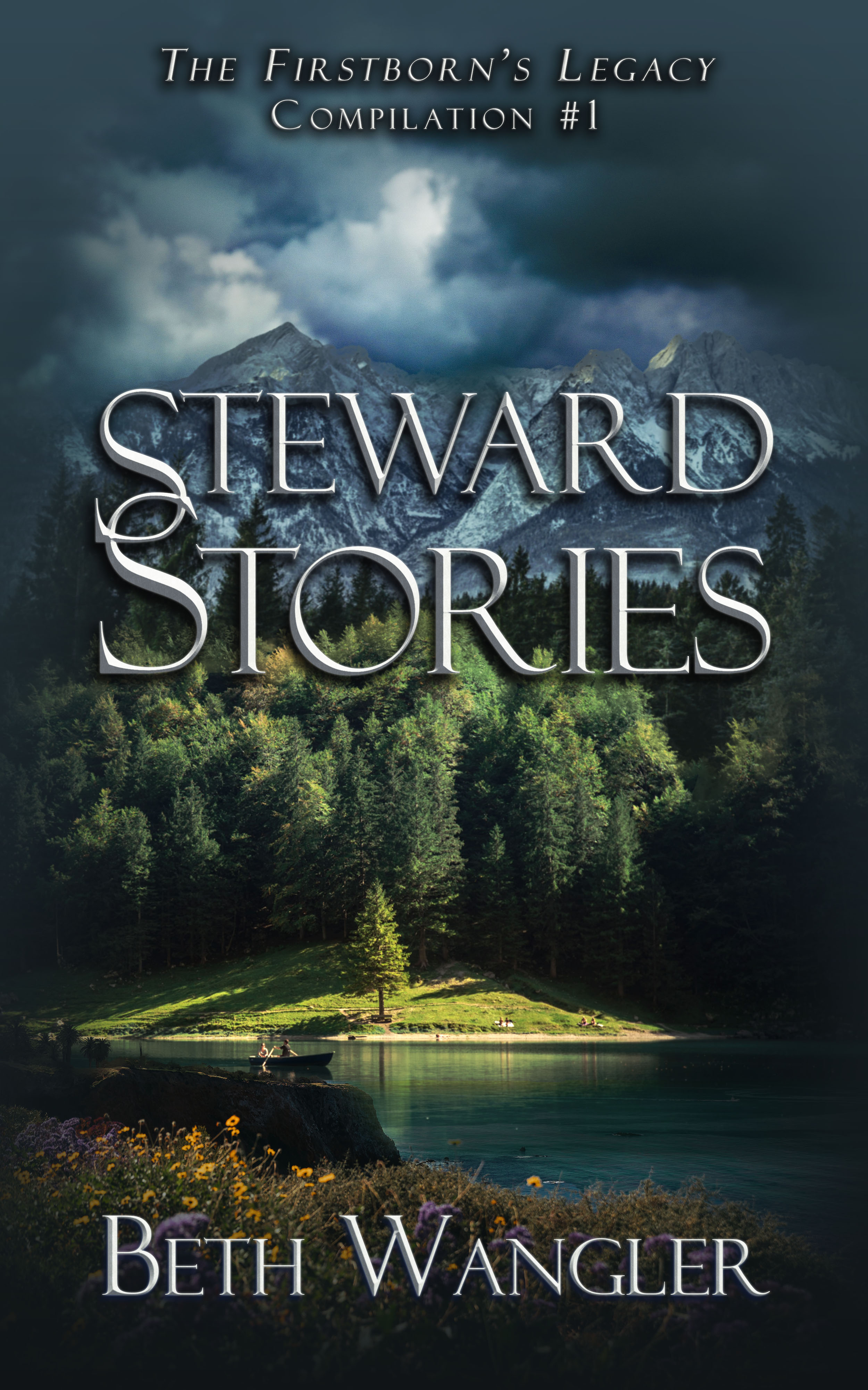 Steward Stories by Beth Wangler | Goodreads
