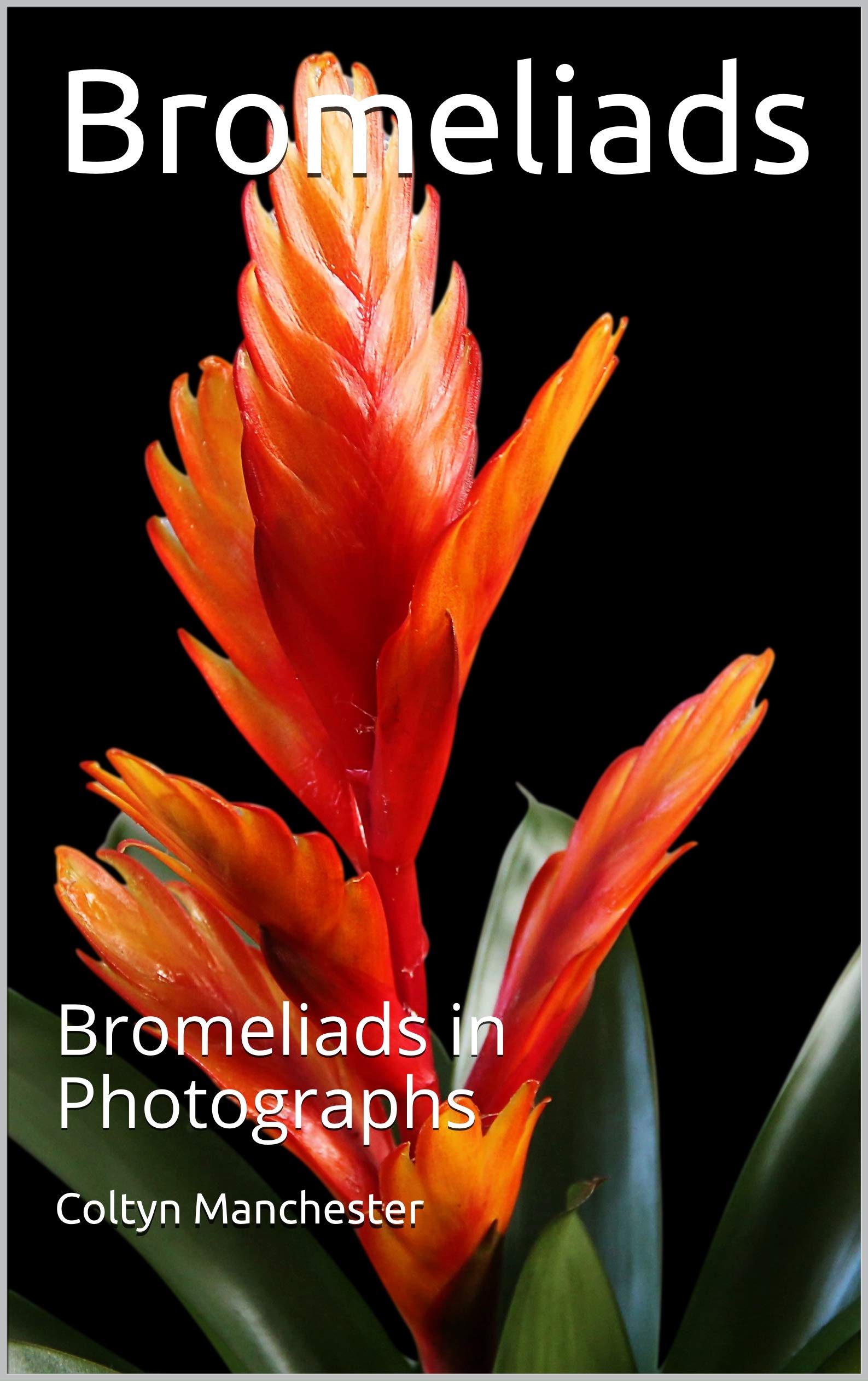 Bromeliads: Bromeliads in Photographs by Coltyn Manchester | Goodreads