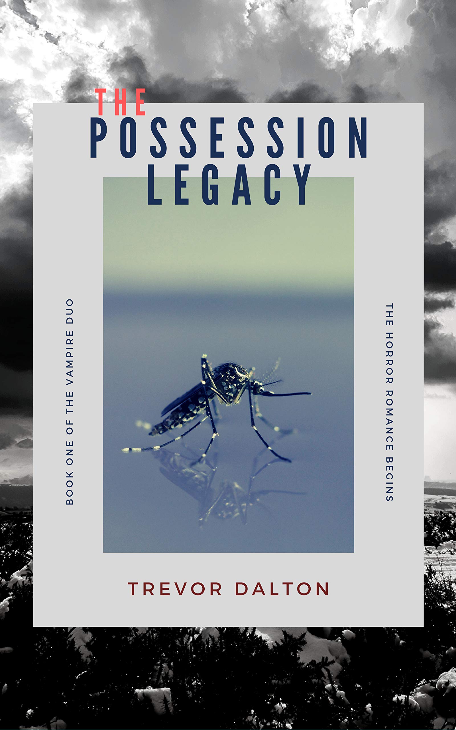 The Possession Legacy: Book 1 - The Vampire Duo by Trevor Dalton ...
