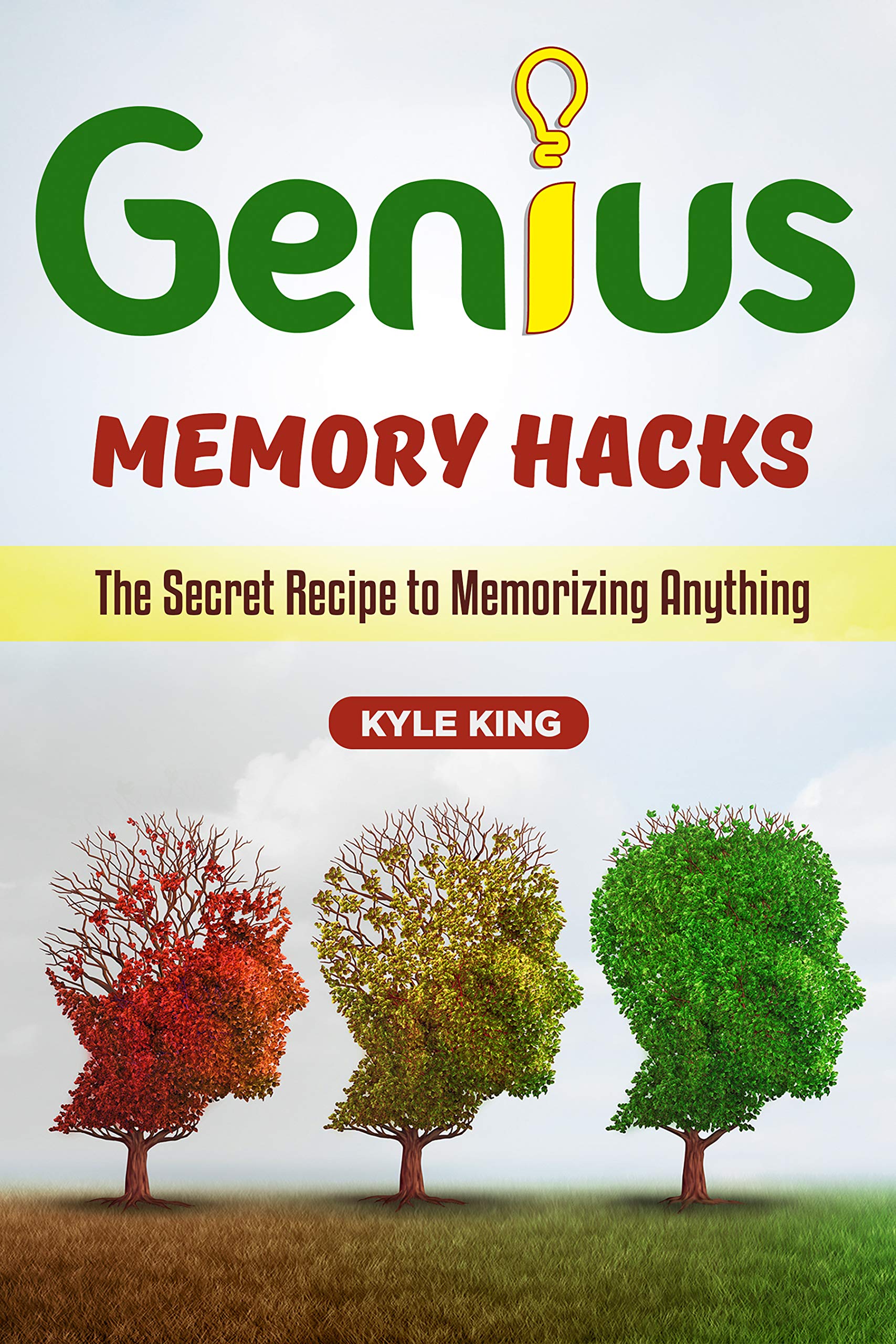 Genius Memory Hacks: The Secret Recipe to Memorizing Anything by Kyle ...