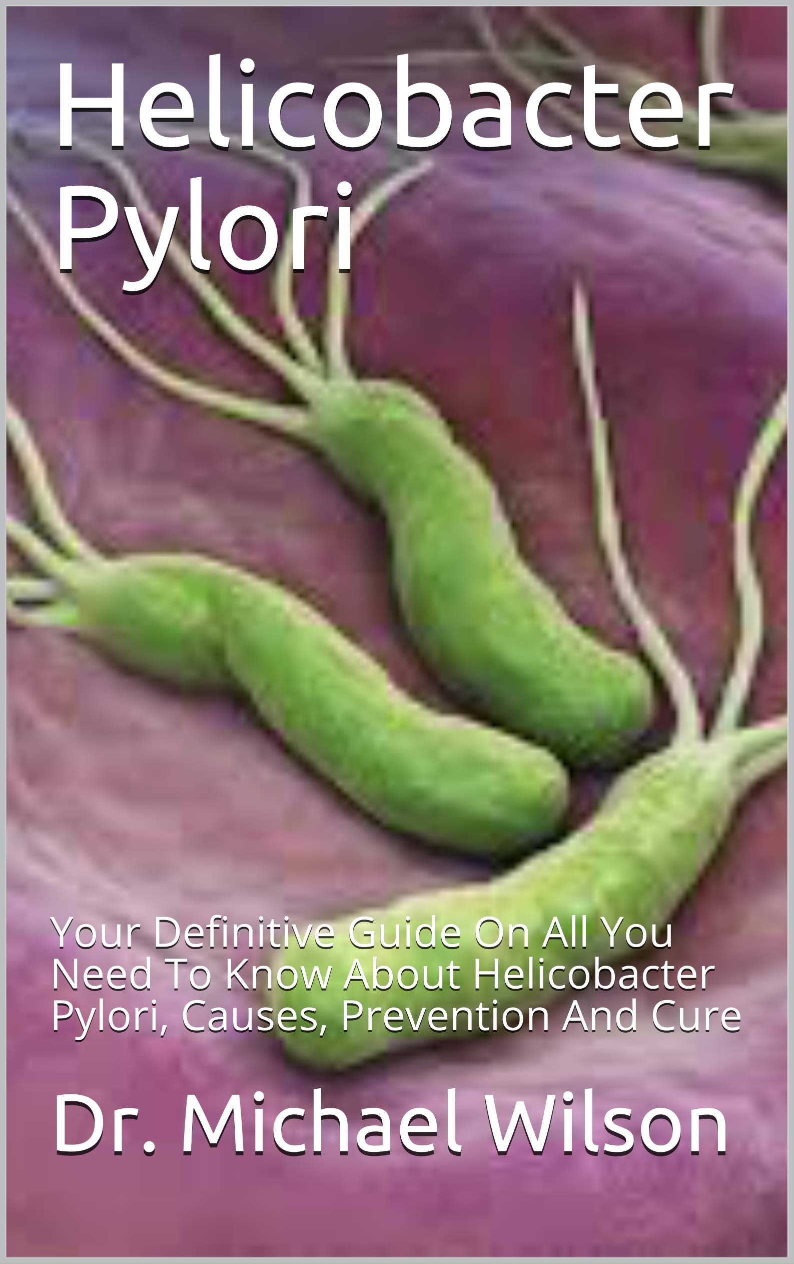 Helicobacter Pylori: Your Definitive Guide On All You Need To Know ...