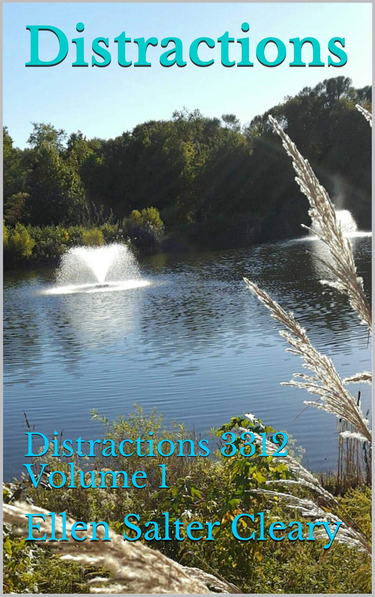 Distractions: Distractions 3312 Volume 1 by Ellen Salter Cleary | Goodreads