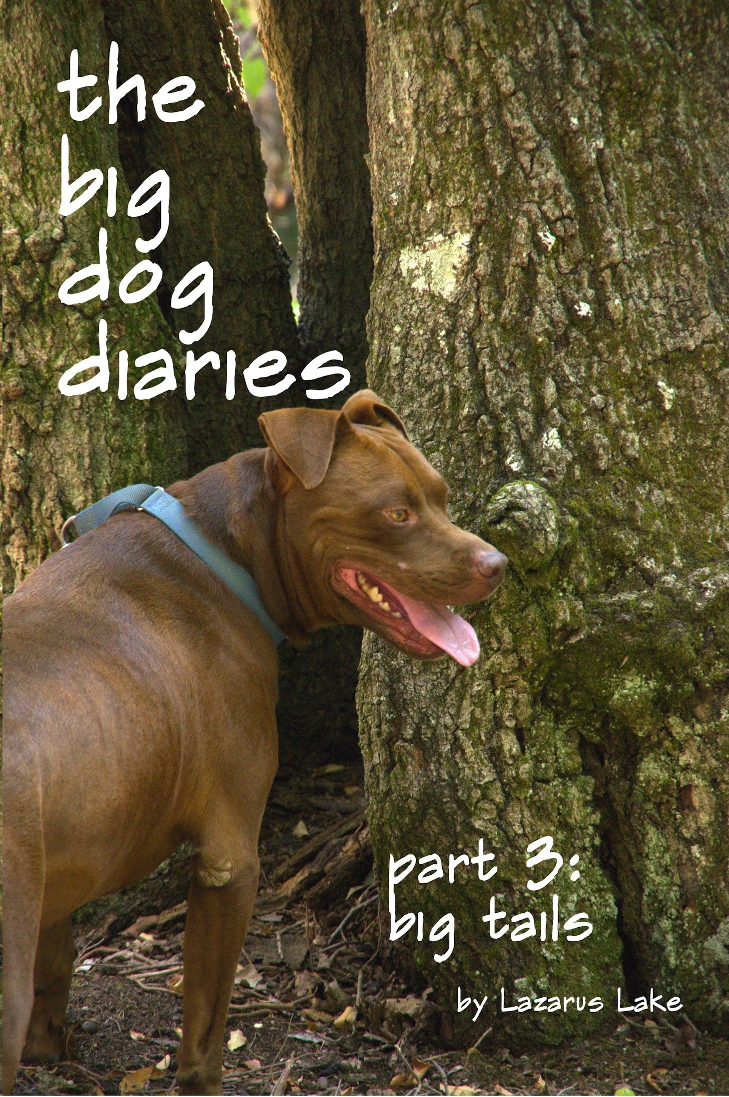 Big Tails (The Big Dog Diaries Book 3) by Lazarus Lake | Goodreads