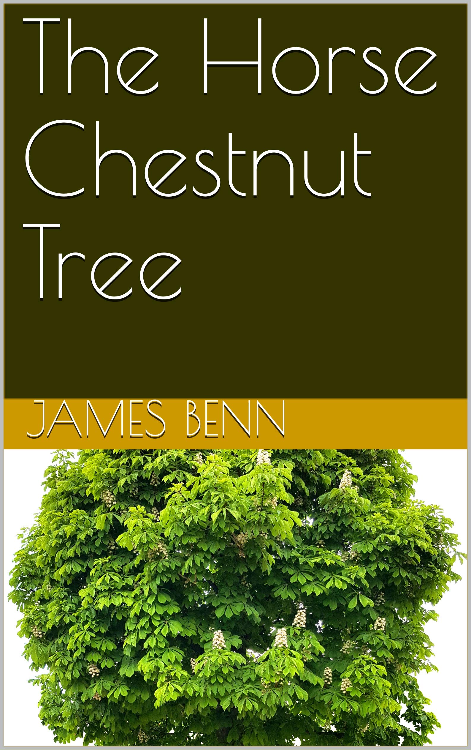 The Horse Chestnut Tree by James Benn | Goodreads