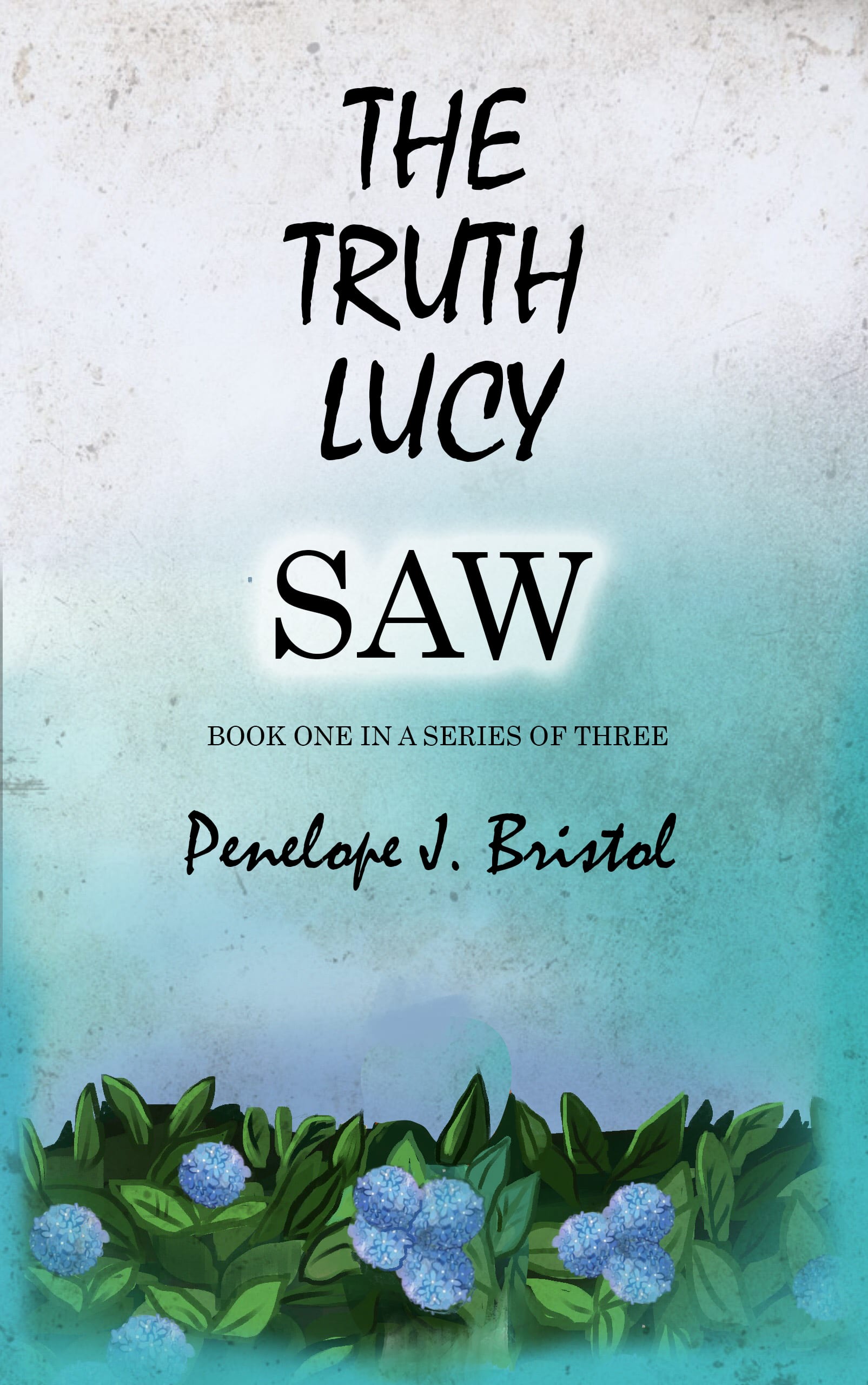 The Truth Lucy Saw by Penelope J. Bristol | Goodreads