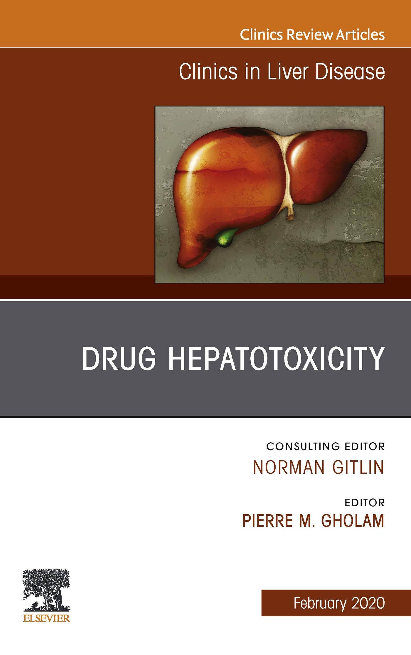 Drug Hepatotoxicity,An Issue of Clinics in Liver Disease, E-Book by ...