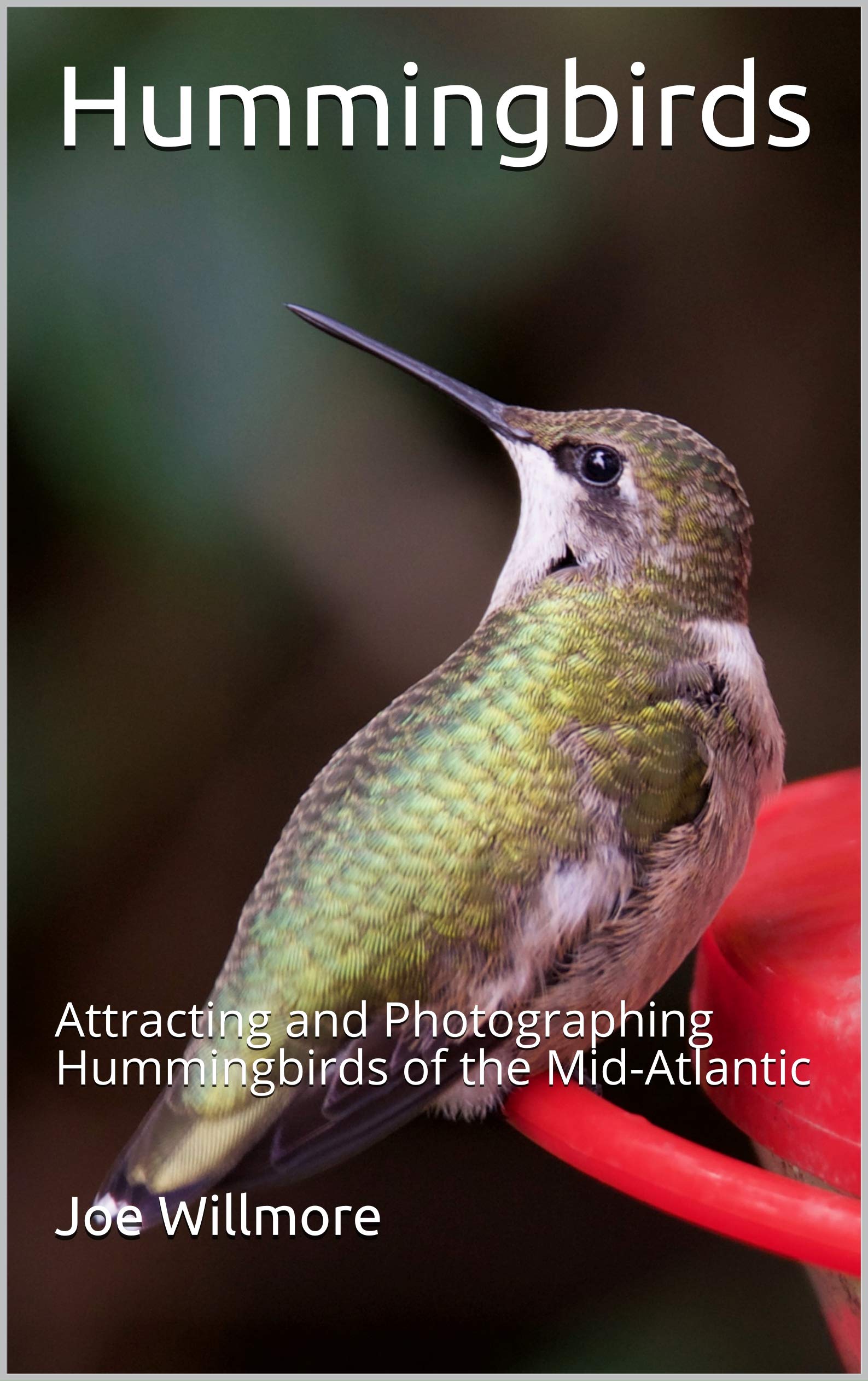Hummingbirds: Attracting and Photographing Hummingbirds of the Mid ...