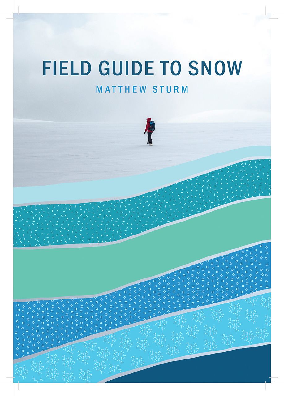 A Field Guide to Snow (Snowy Owl) by Matthew Sturm | Goodreads