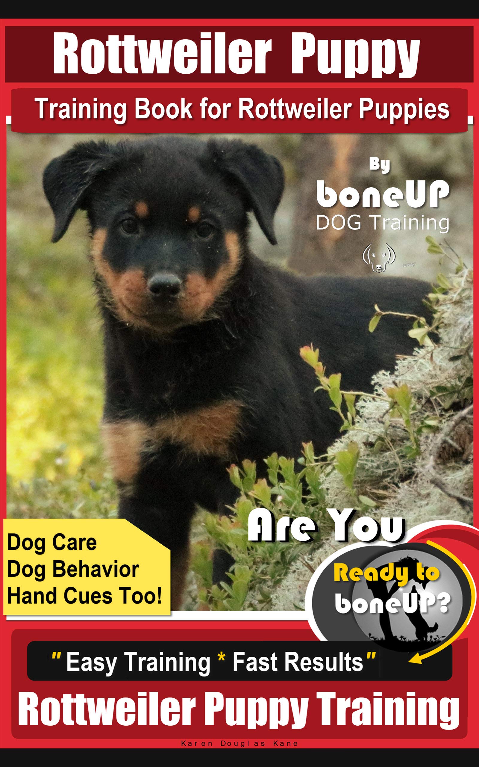 How Do You Take Care Of A Rottweiler Puppy