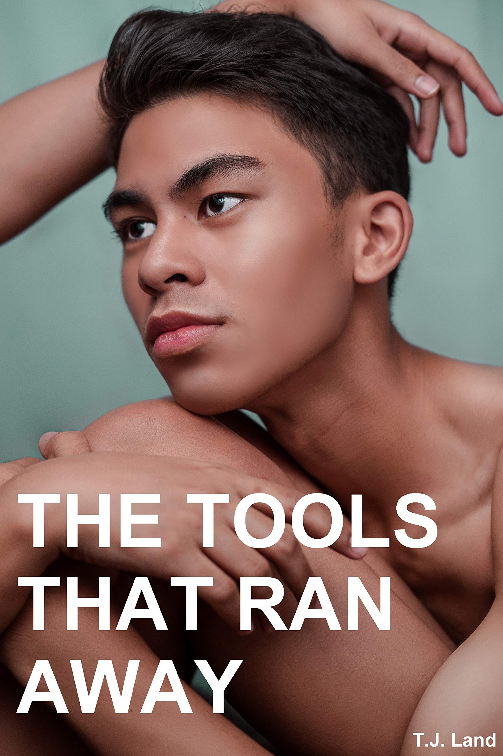 The Tools That Ran Away by T.J. Land | Goodreads