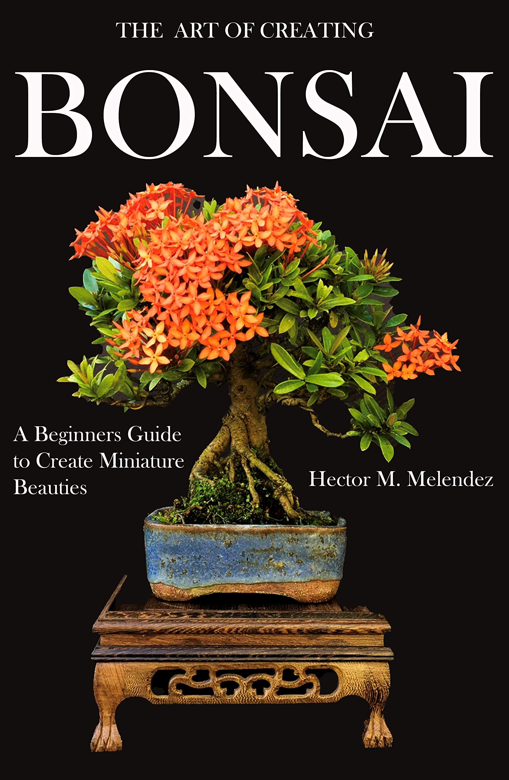 The Art of Creating Bonsai: A Beginners Guide to Create Miniature ...