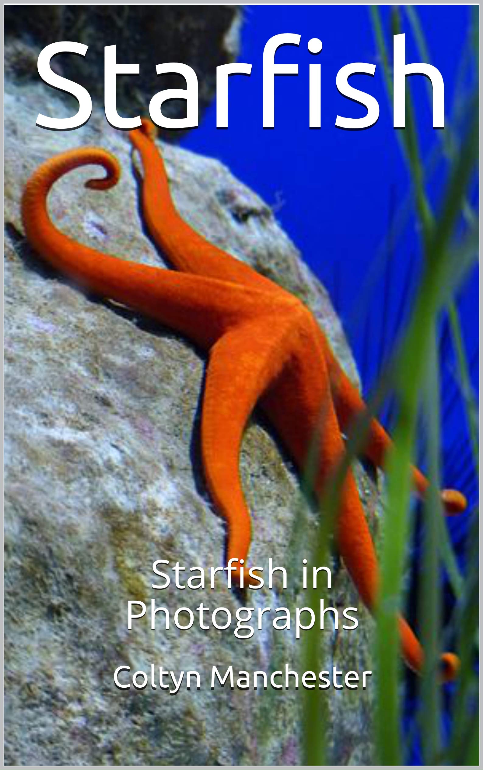 Starfish: Starfish in Photographs by Coltyn Manchester | Goodreads