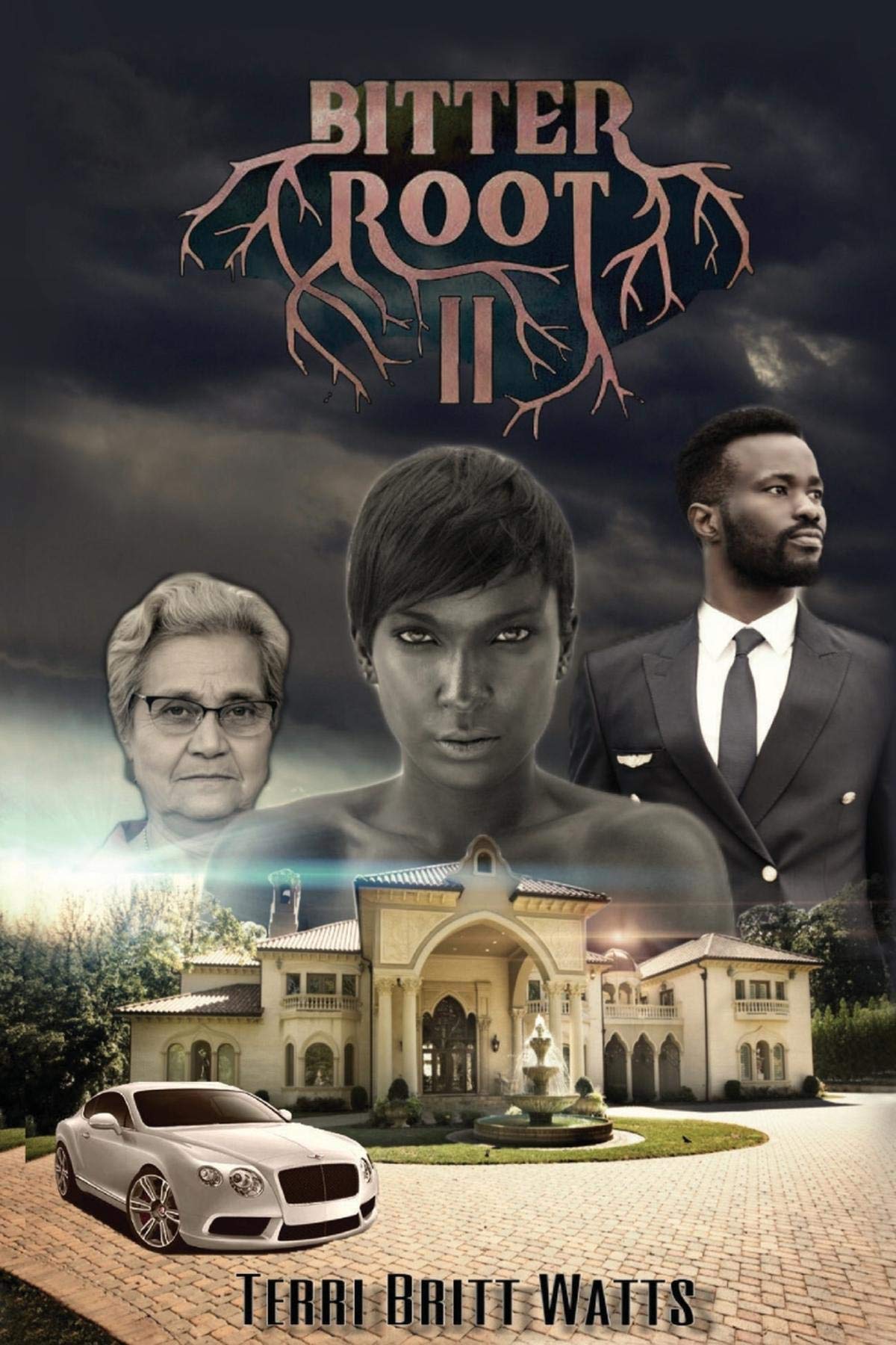 Bitter Root II: The Next Chapter! by Terri Britt Watts | Goodreads