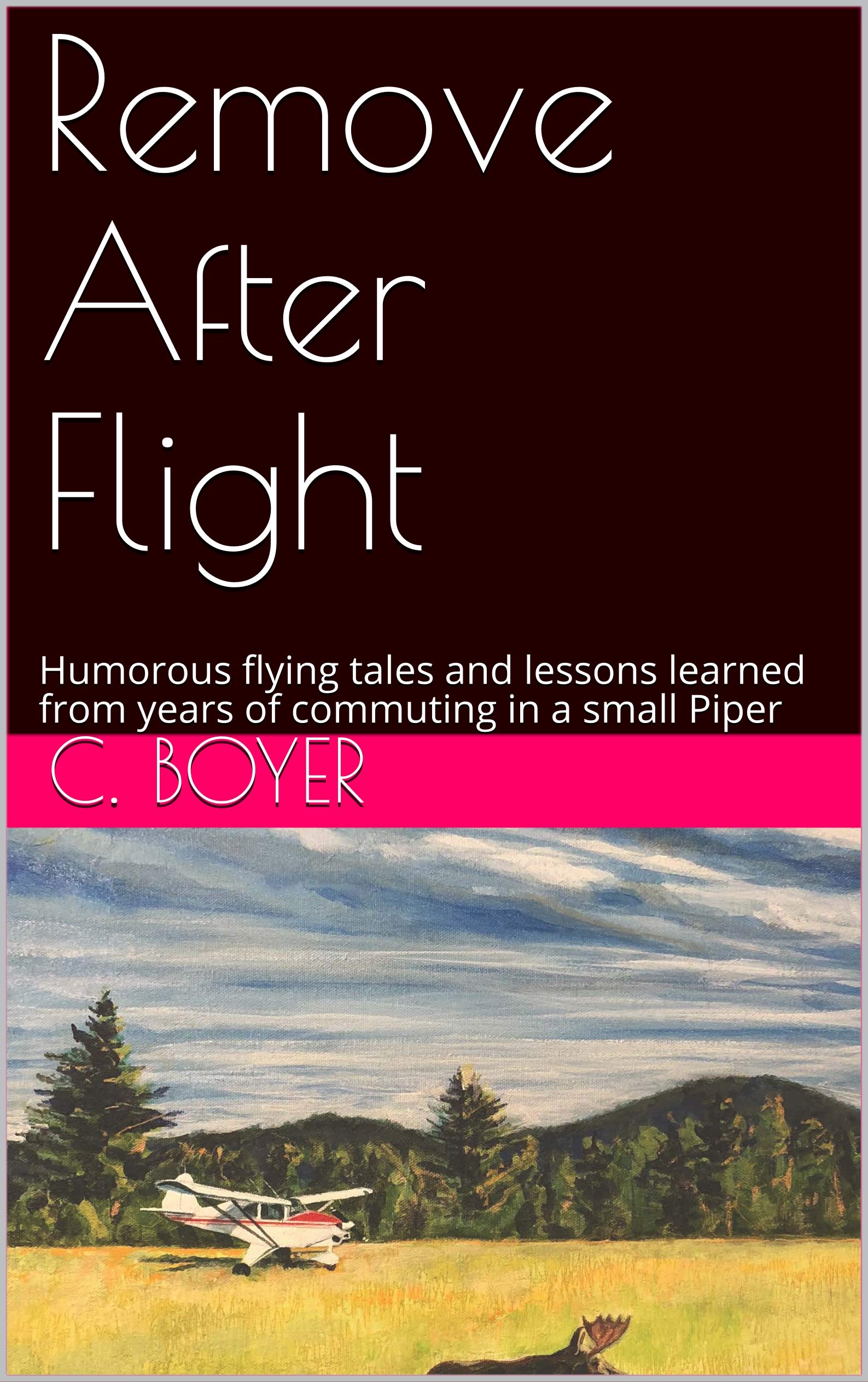 Remove After Flight: Humorous flying tales and lessons learned from ...