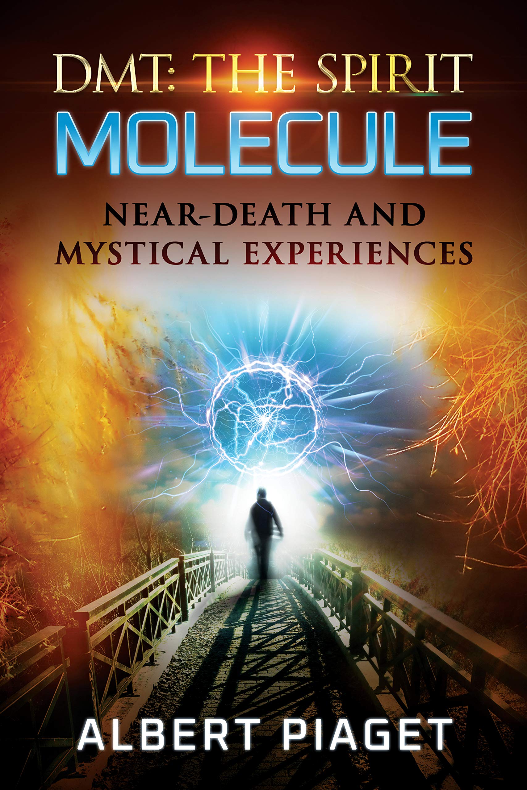 DMT : THE SPIRIT MOLECULE: NEAR-DEATH AND MYSTICAL EXPERIENCES by ...