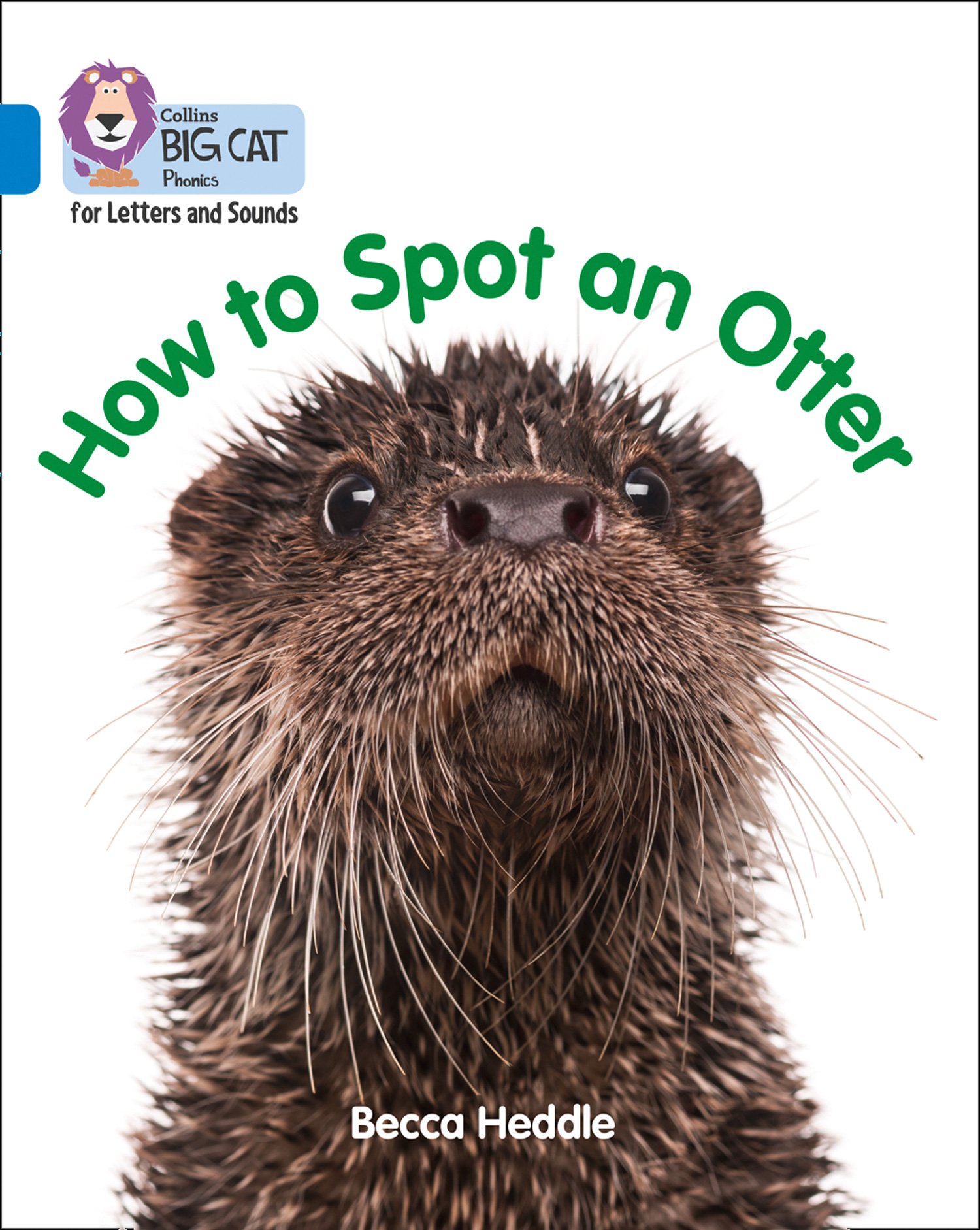 How to Spot an Otter by Rebecca Heddle | Goodreads