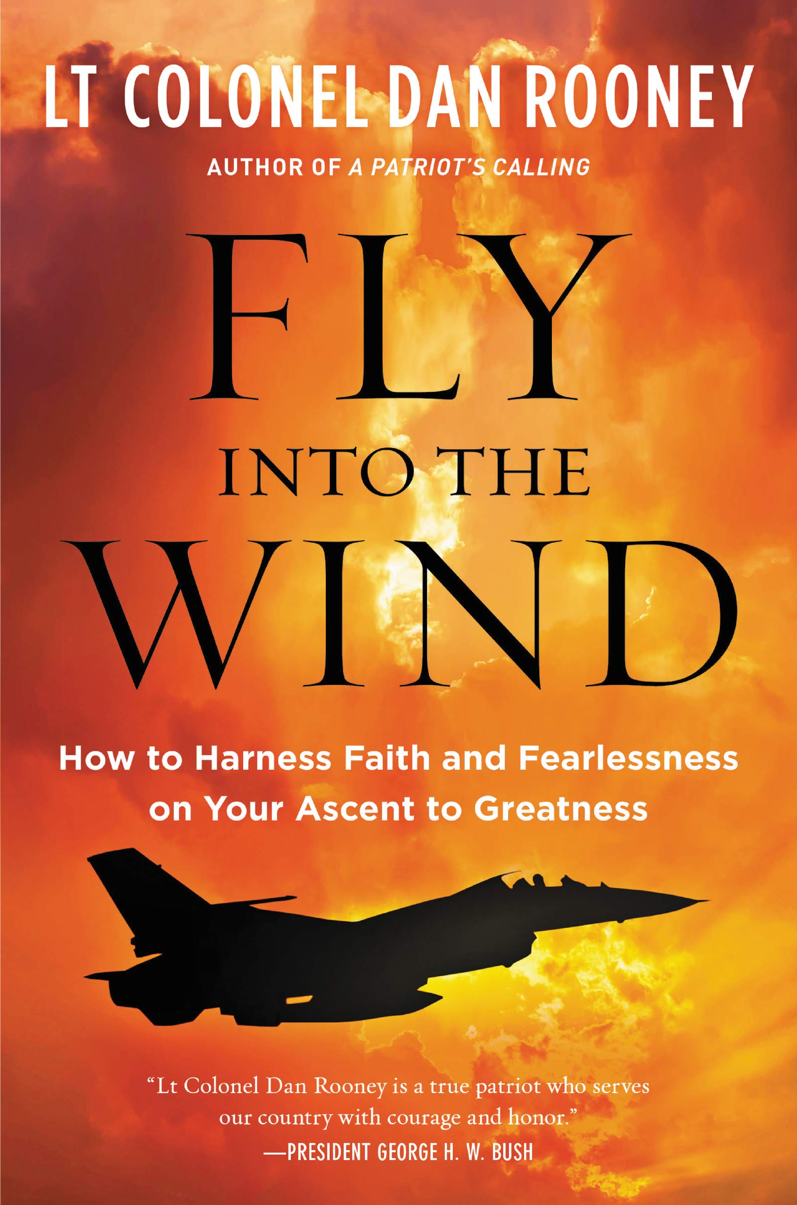 Fly Into the Wind by Dan Rooney | Goodreads