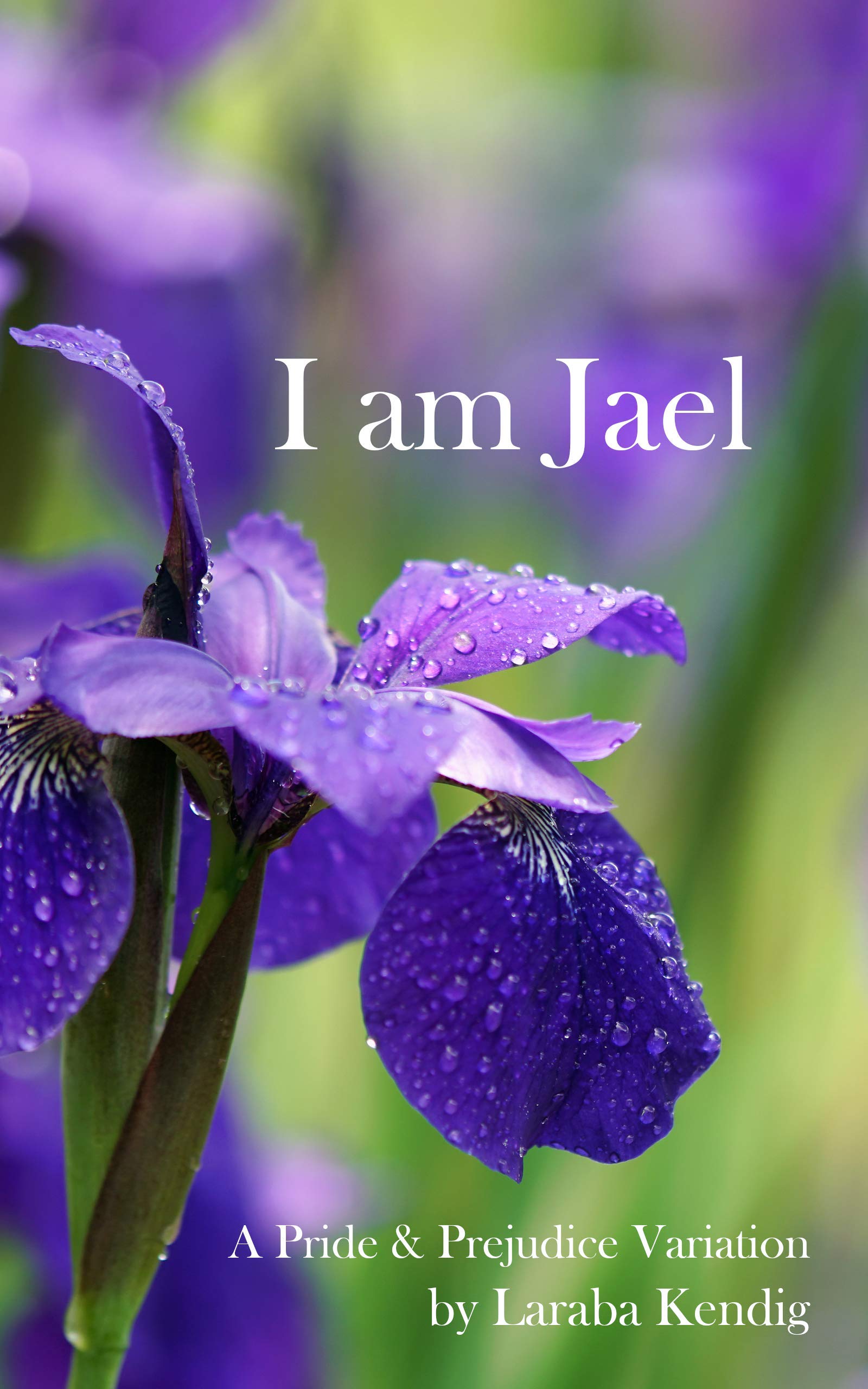 I Am Jael: A Pride and Prejudice Variation by Laraba Kendig | Goodreads