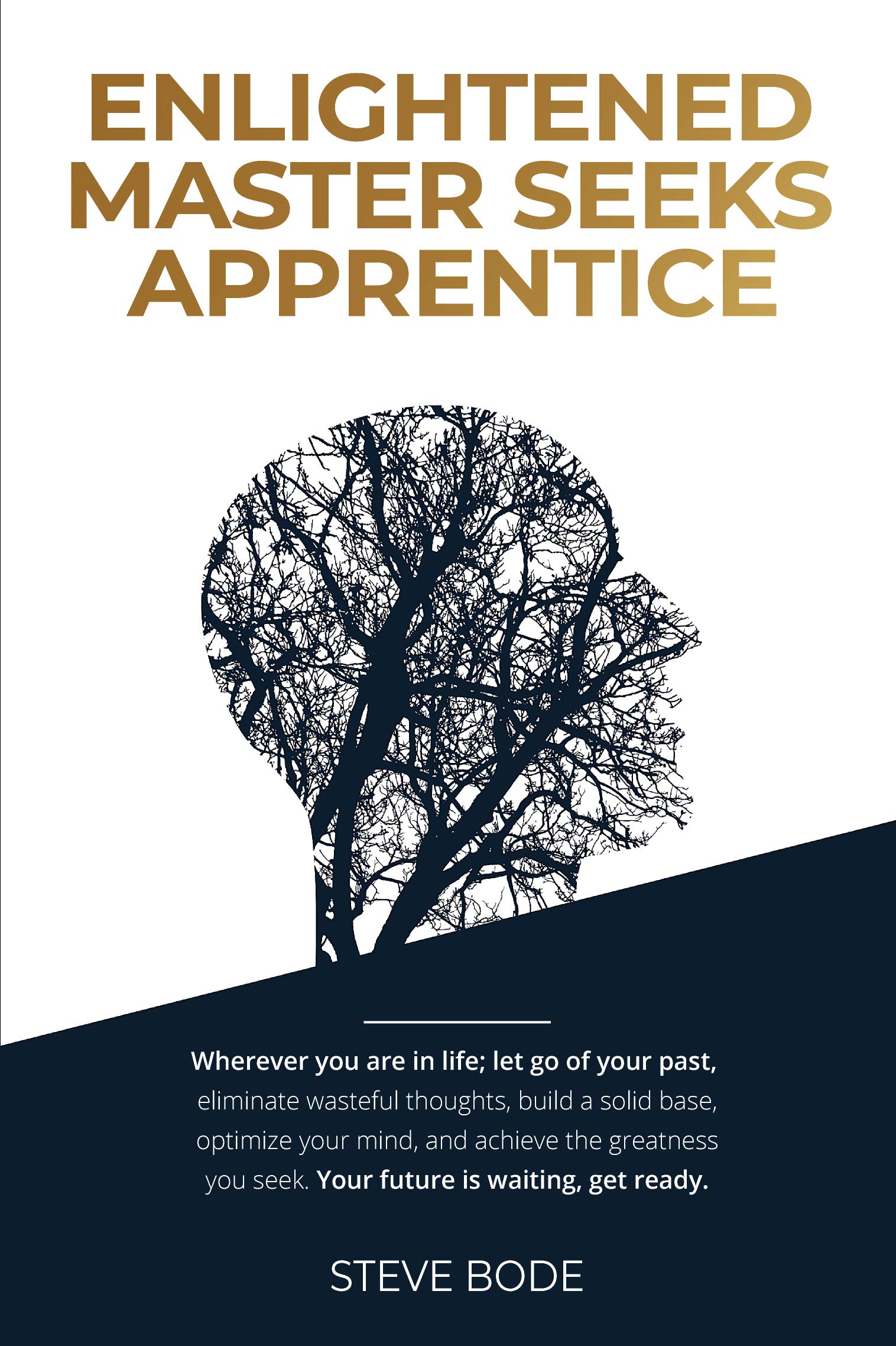 Enlightened Master Seeks Apprentice: Wherever you are in life; let go ...