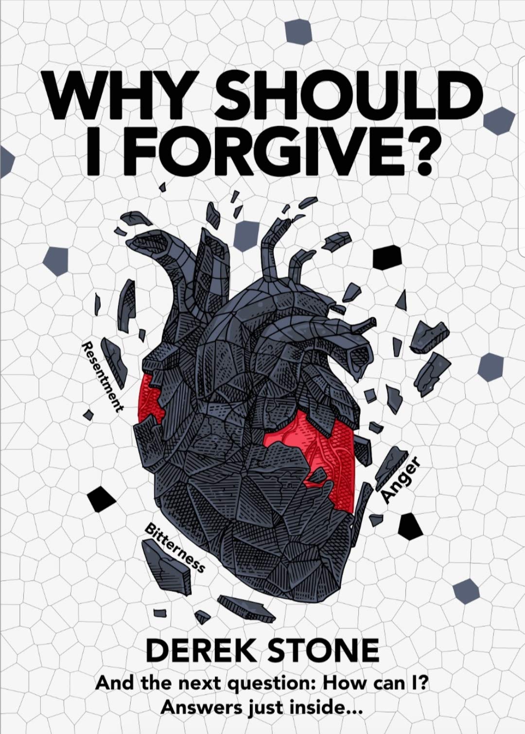 Why Should I Forgive?: And the next question: How can I? Answers just ...