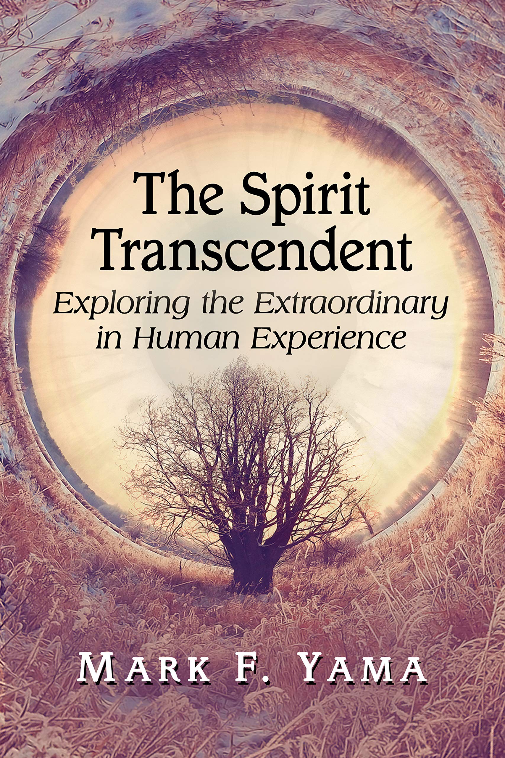The Spirit Transcendent: Exploring the Extraordinary in Human ...