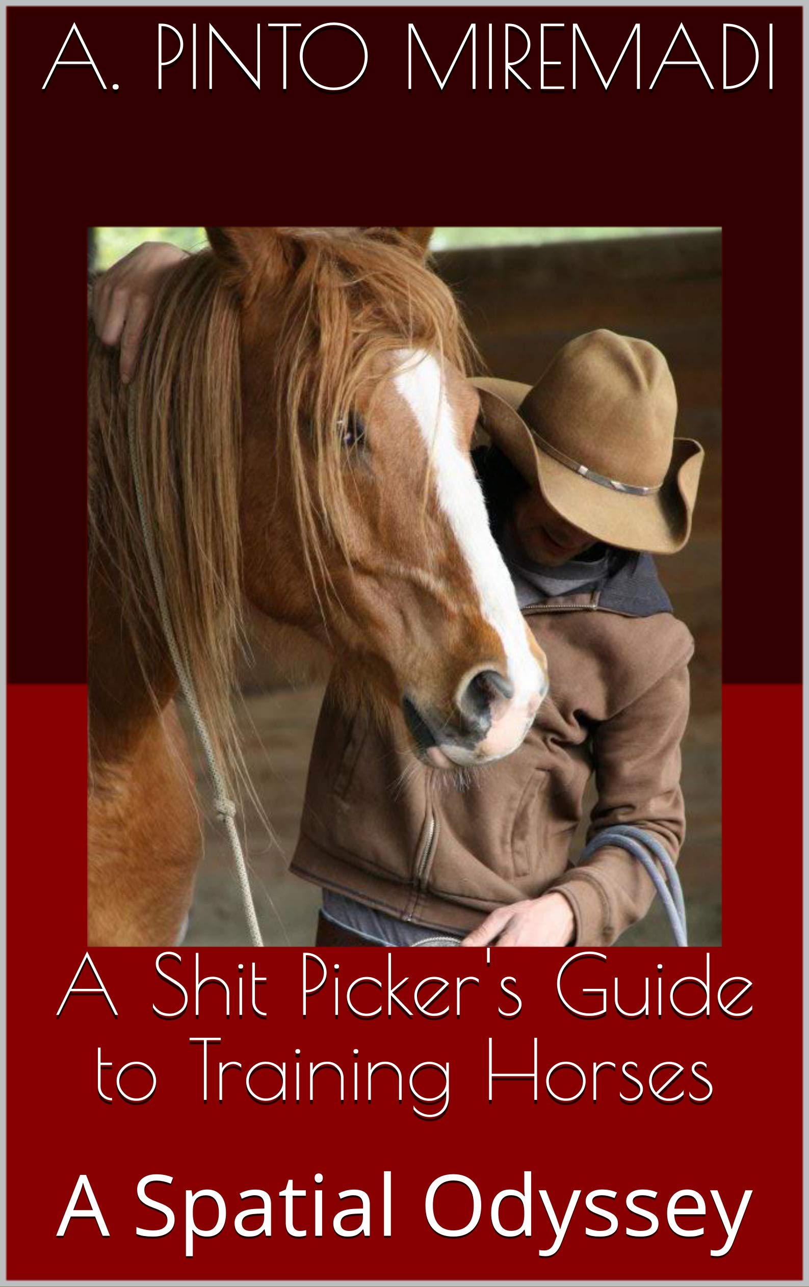 A Shit Picker's Guide to Training Horses: A Spatial Odyssey by A. Pinto ...