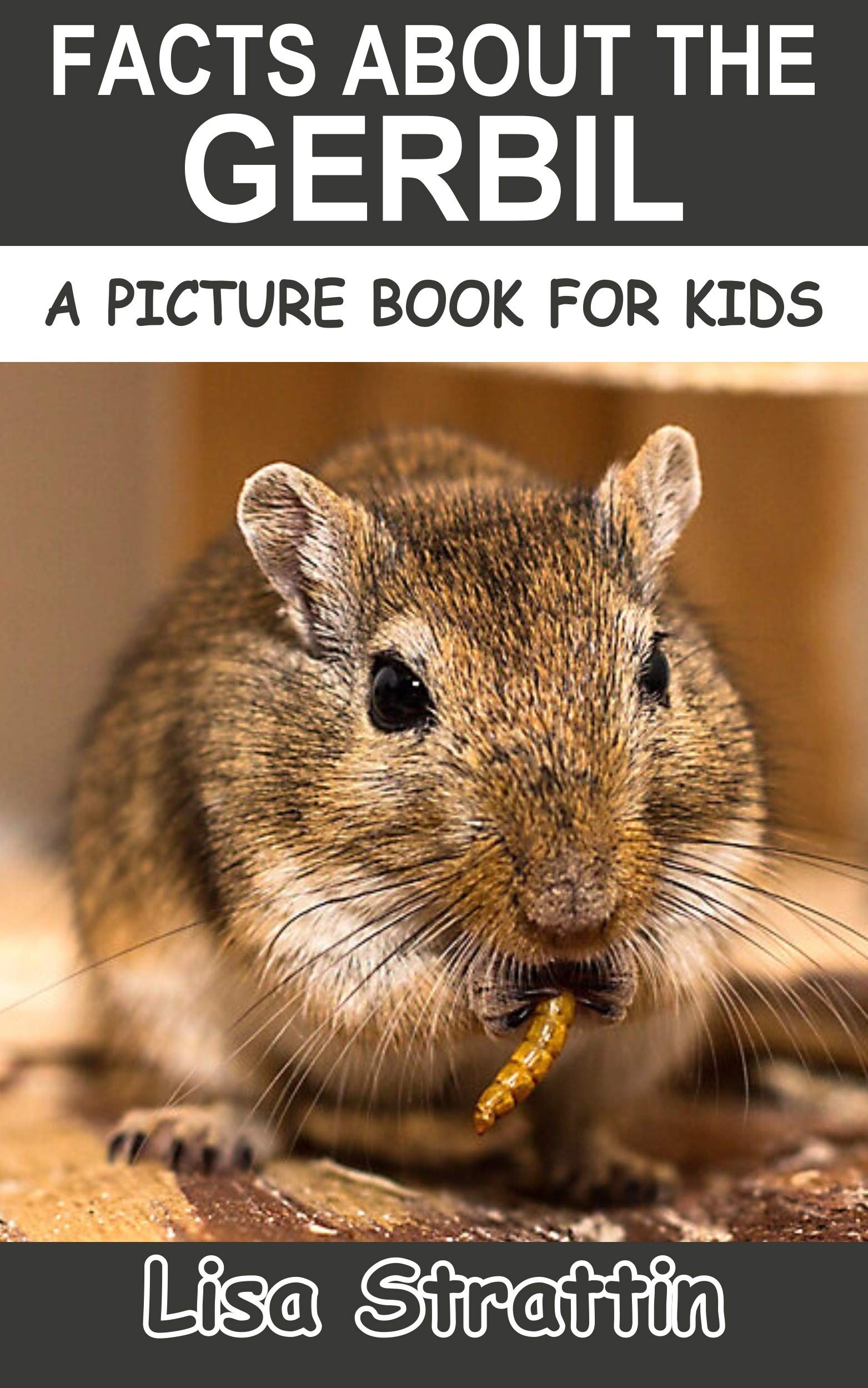 Facts About the Gerbil (A Picture Book For Kids 200) by Lisa Strattin ...