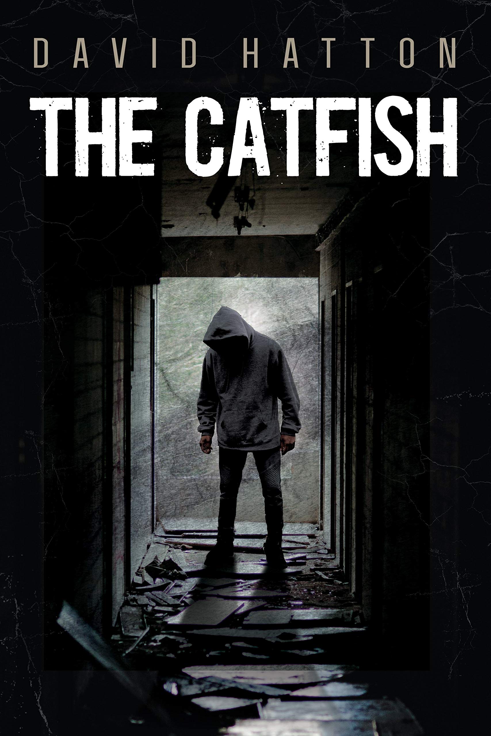 The Catfish by David Hatton | Goodreads