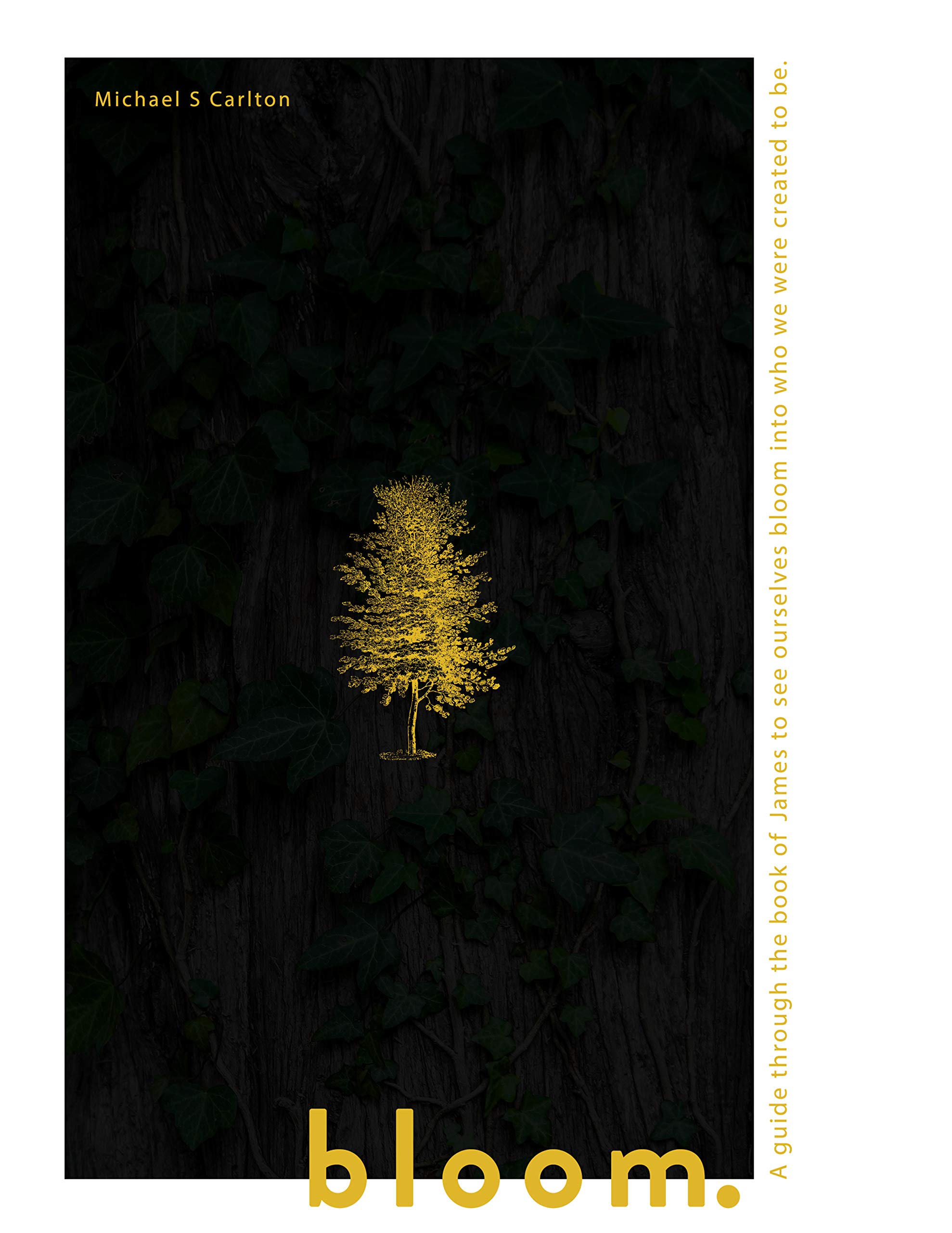 bloom.: A guide through the book of James to see ourselves bloom into ...