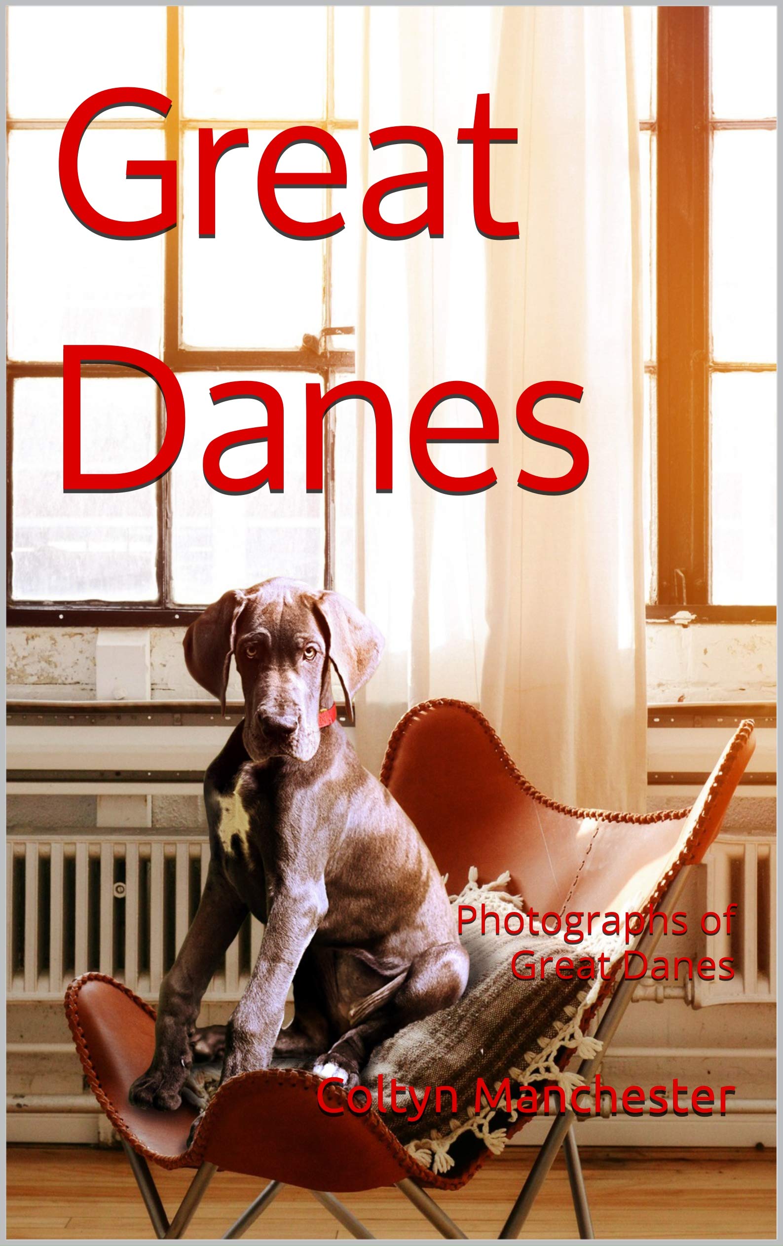 Great Danes: Photographs of Great Danes by Coltyn Manchester | Goodreads