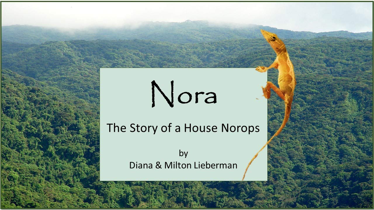Nora: The Story of a House Norops by Diana Lieberman | Goodreads