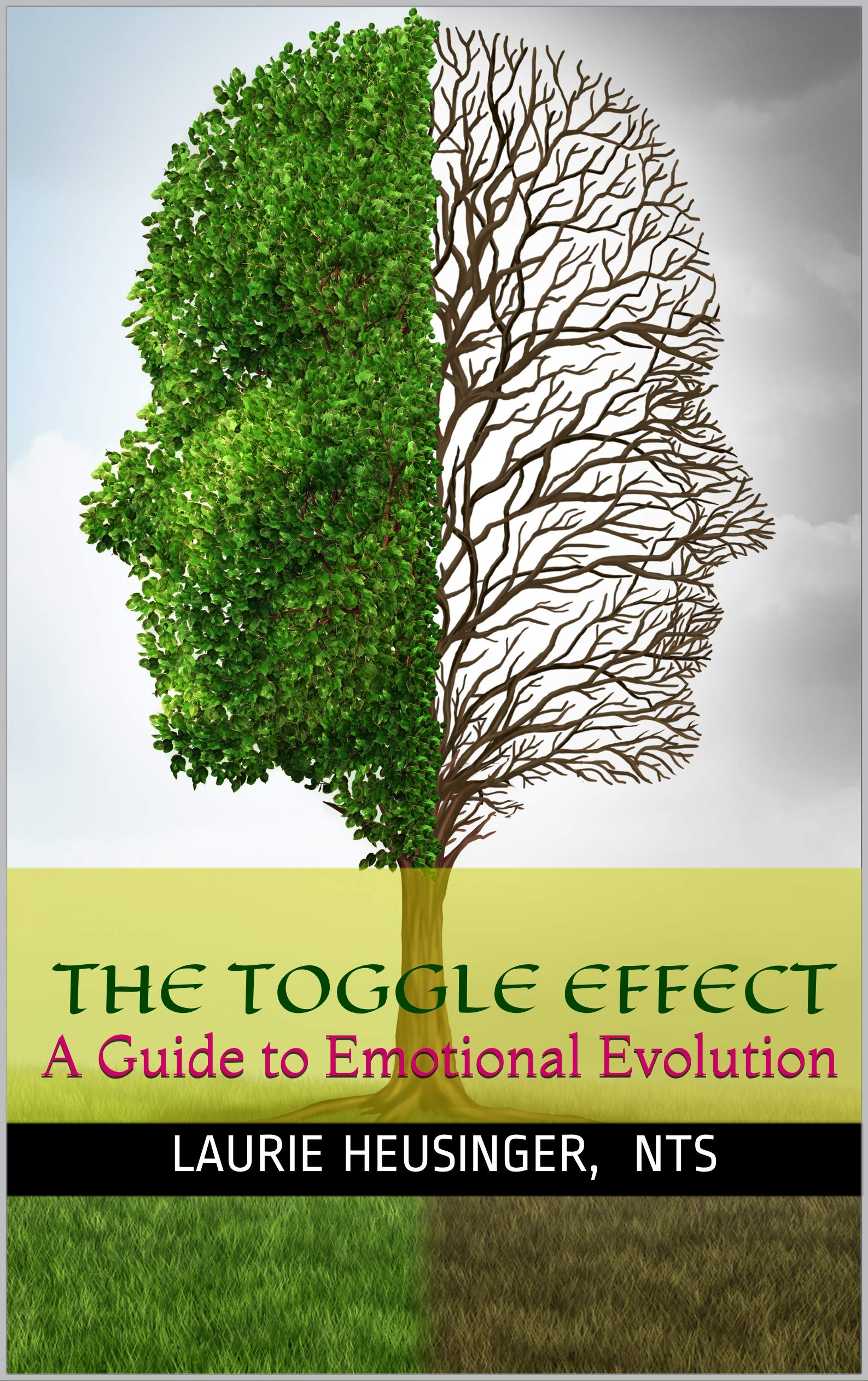 The Toggle Effect: A Guide to Emotional Evolution by Laurie Heusinger ...