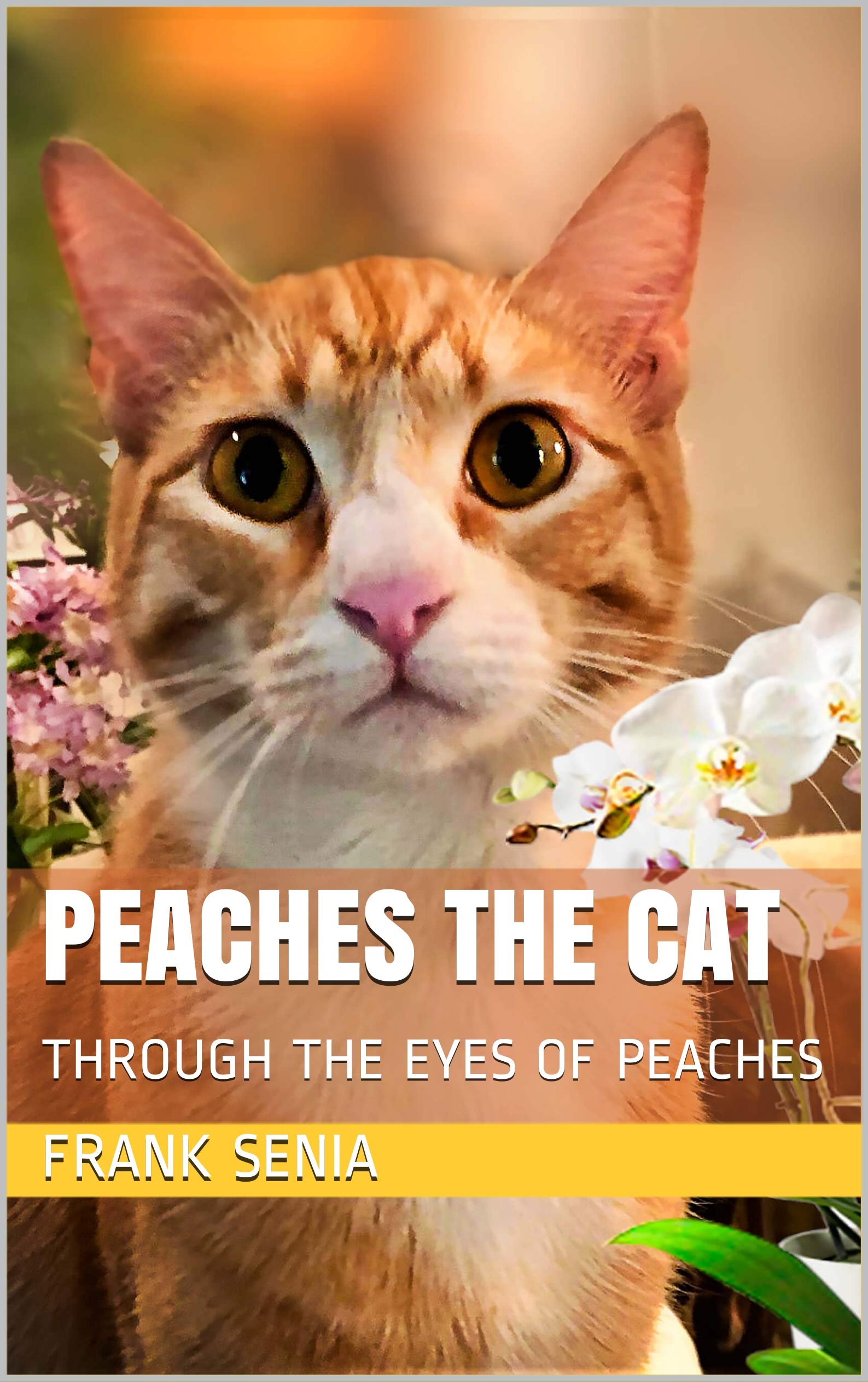 PEACHES THE CAT: THROUGH THE EYES OF PEACHES by FRANK SENIA | Goodreads