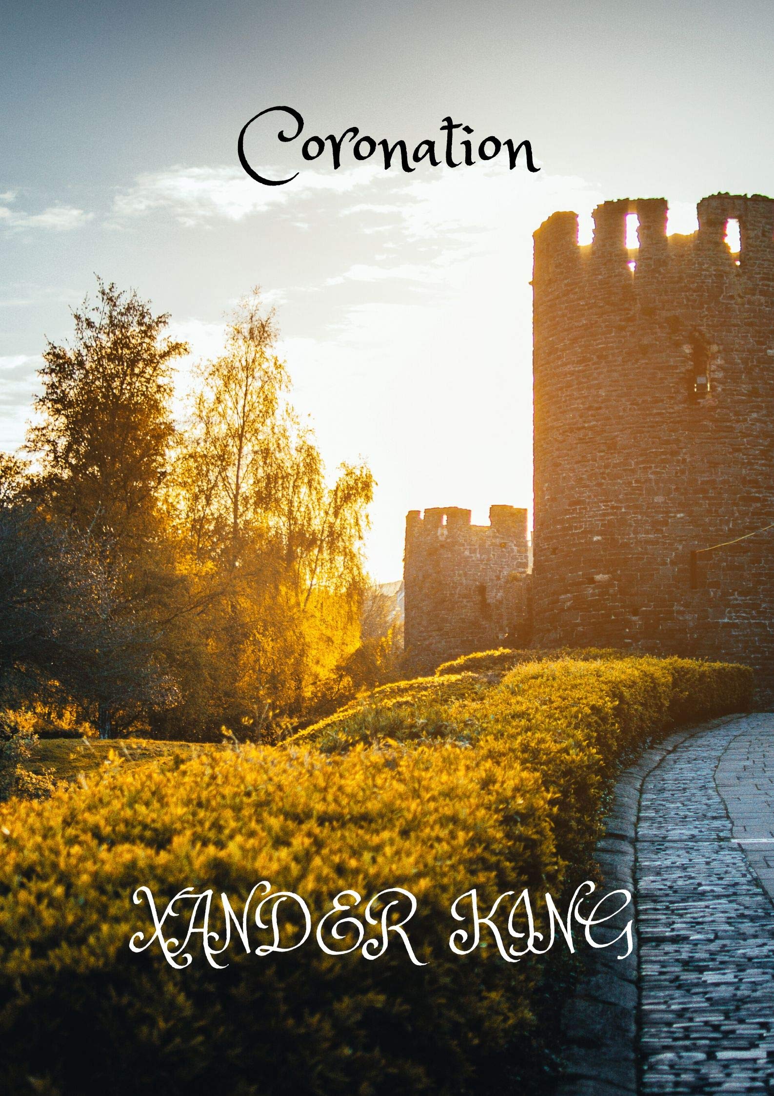 Coronation: A collection of poems relating to mental health issues ...