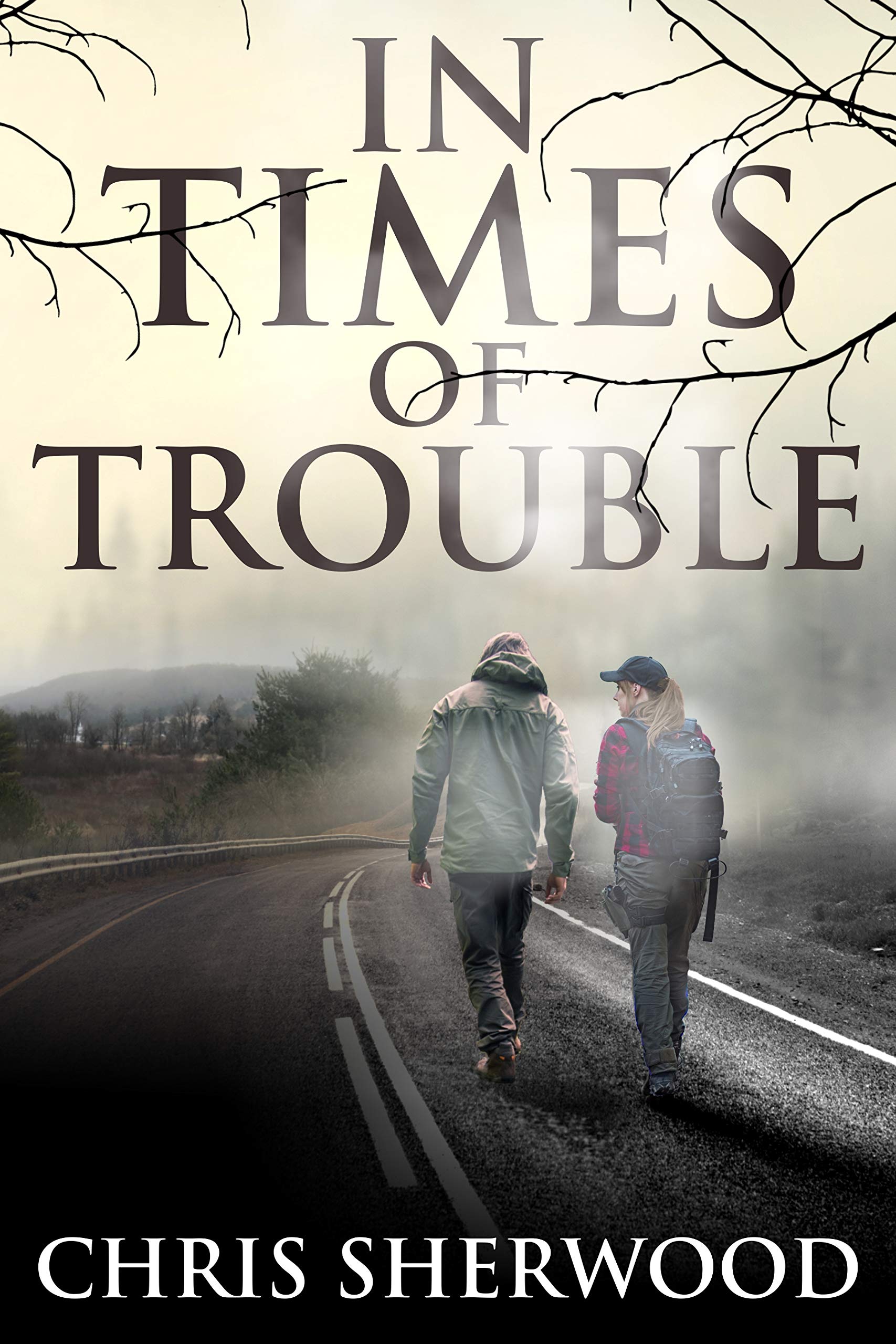In Times Of Trouble by Chris Sherwood | Goodreads