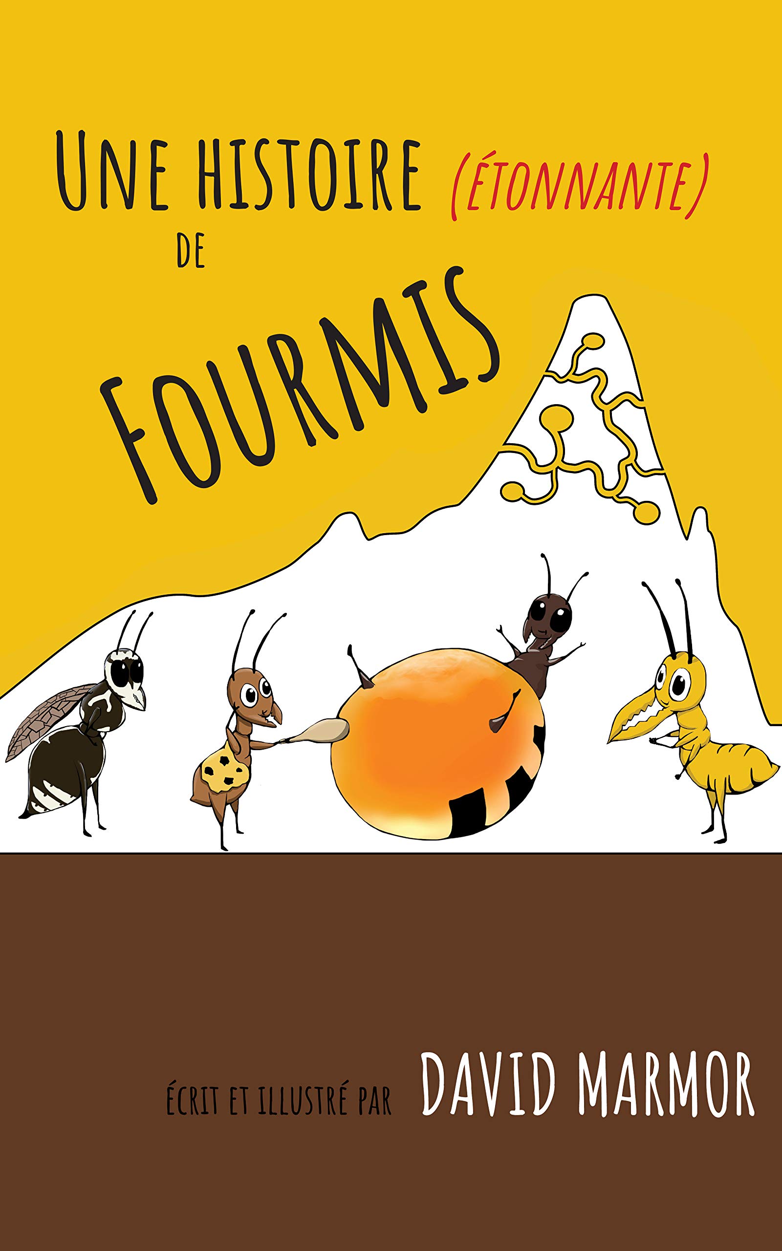 Une Histoire (étonnante) Les Fourmis: Découvrez ce merveilleux insecte ...